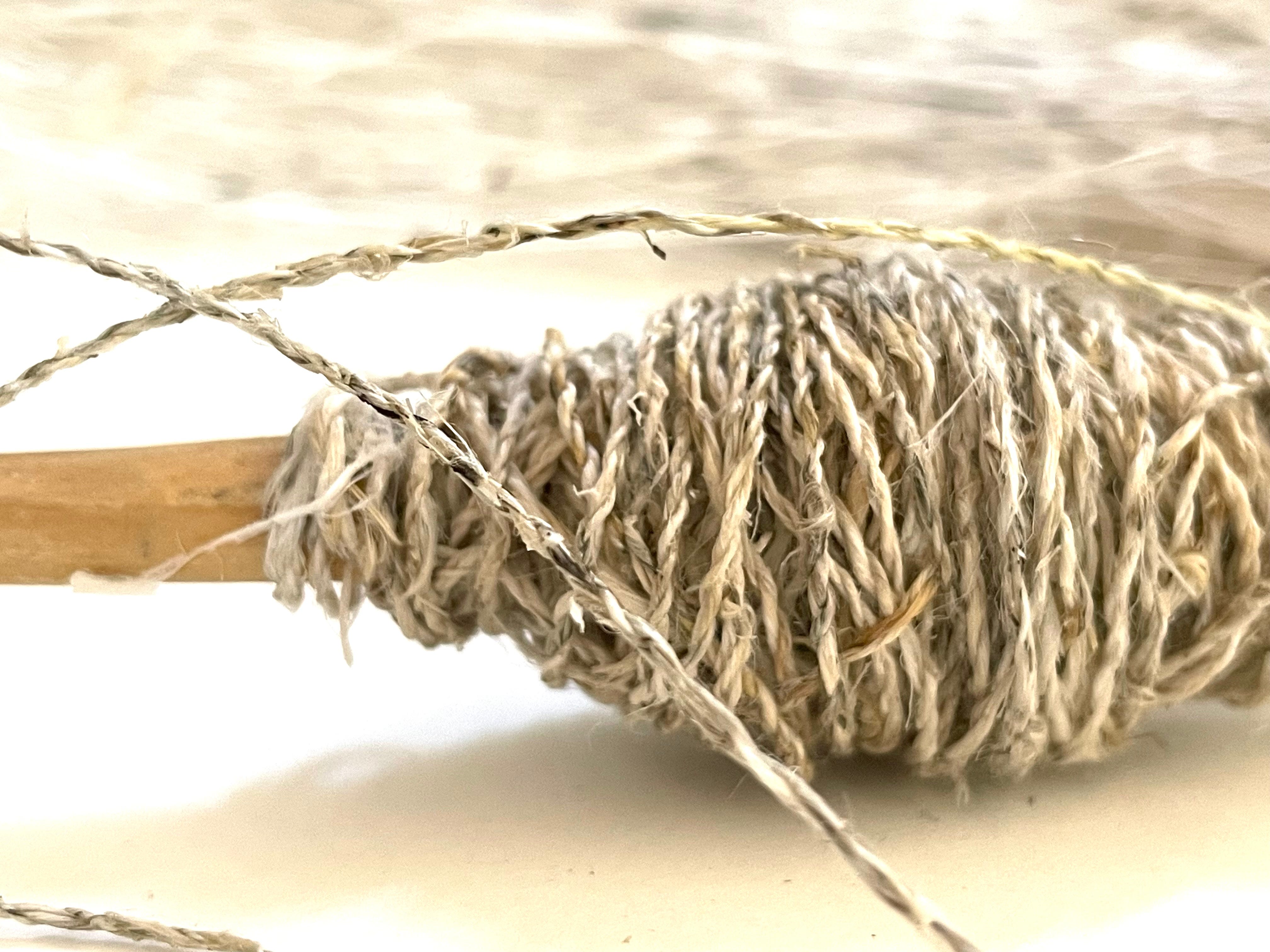 dog bliss and milkweed - by Sarah C Swett - The Gusset