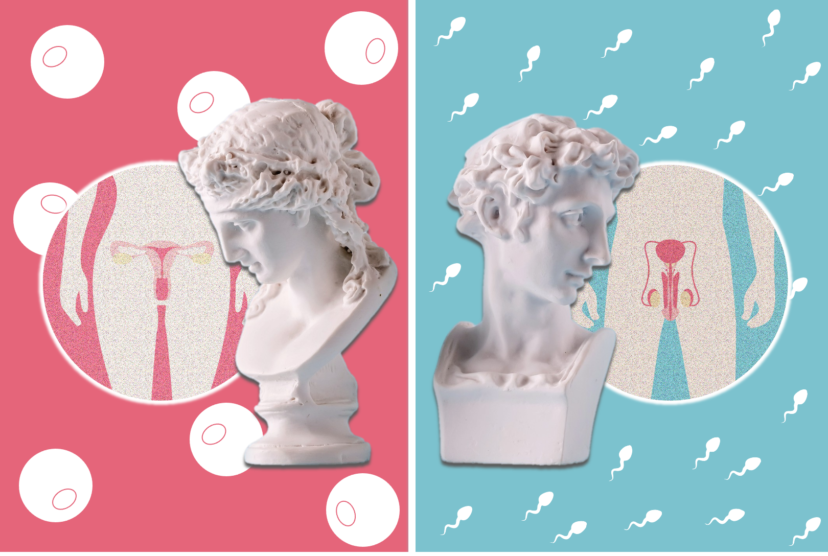 Denying The Human Sex Binary Turns Biology Into Nonsense