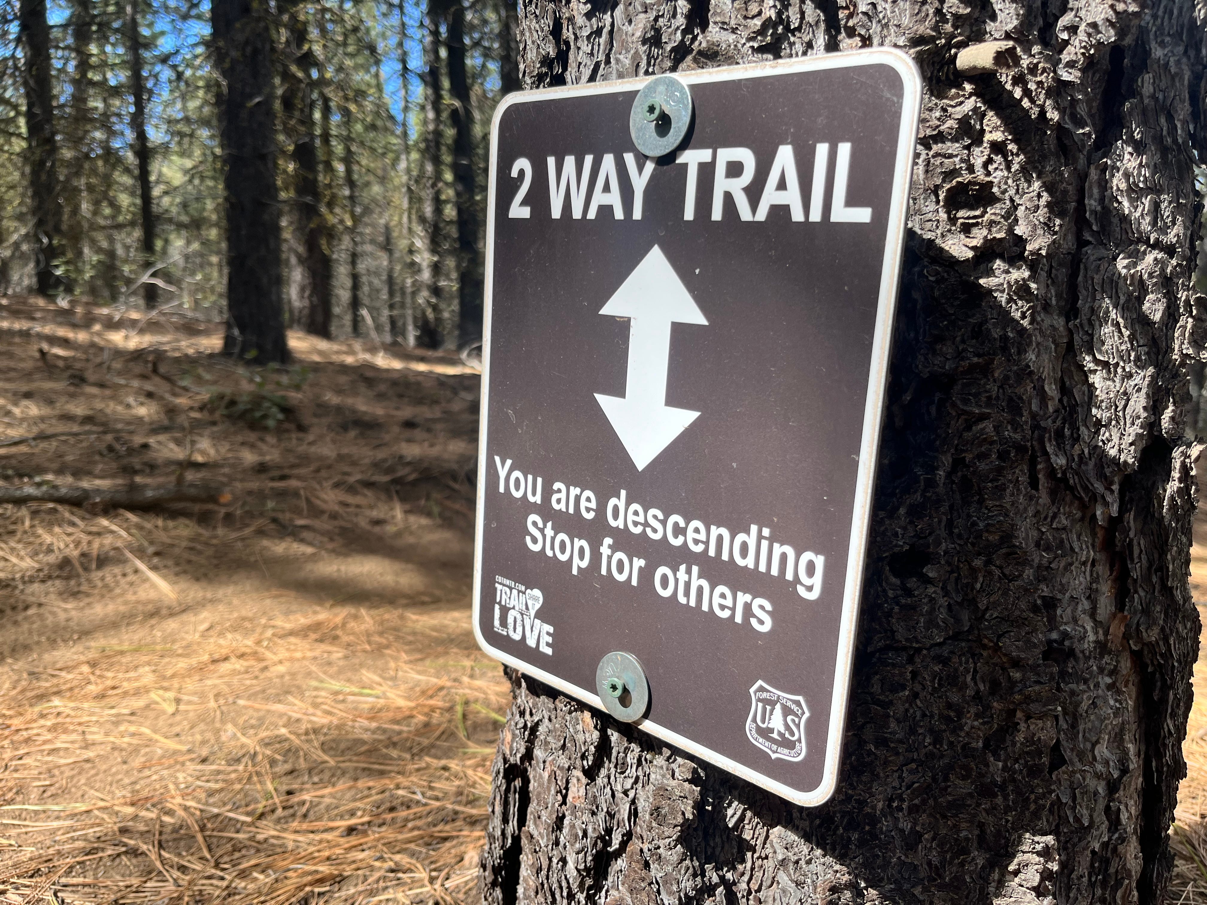 At the Intersection of Trail Etiquette and Common Sense
