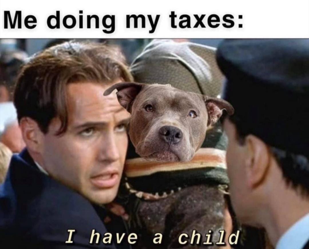 10 Tax Memes to Cheer You Up During Tax Season