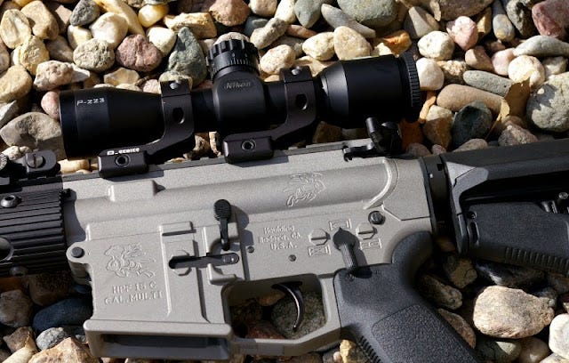 Choosing the Right Scout Rifle AR Optic