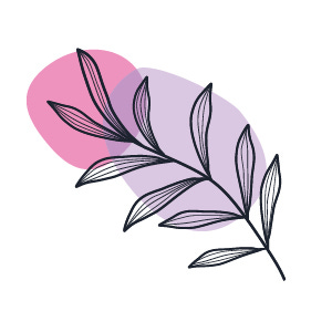 Julia Karol | Substack