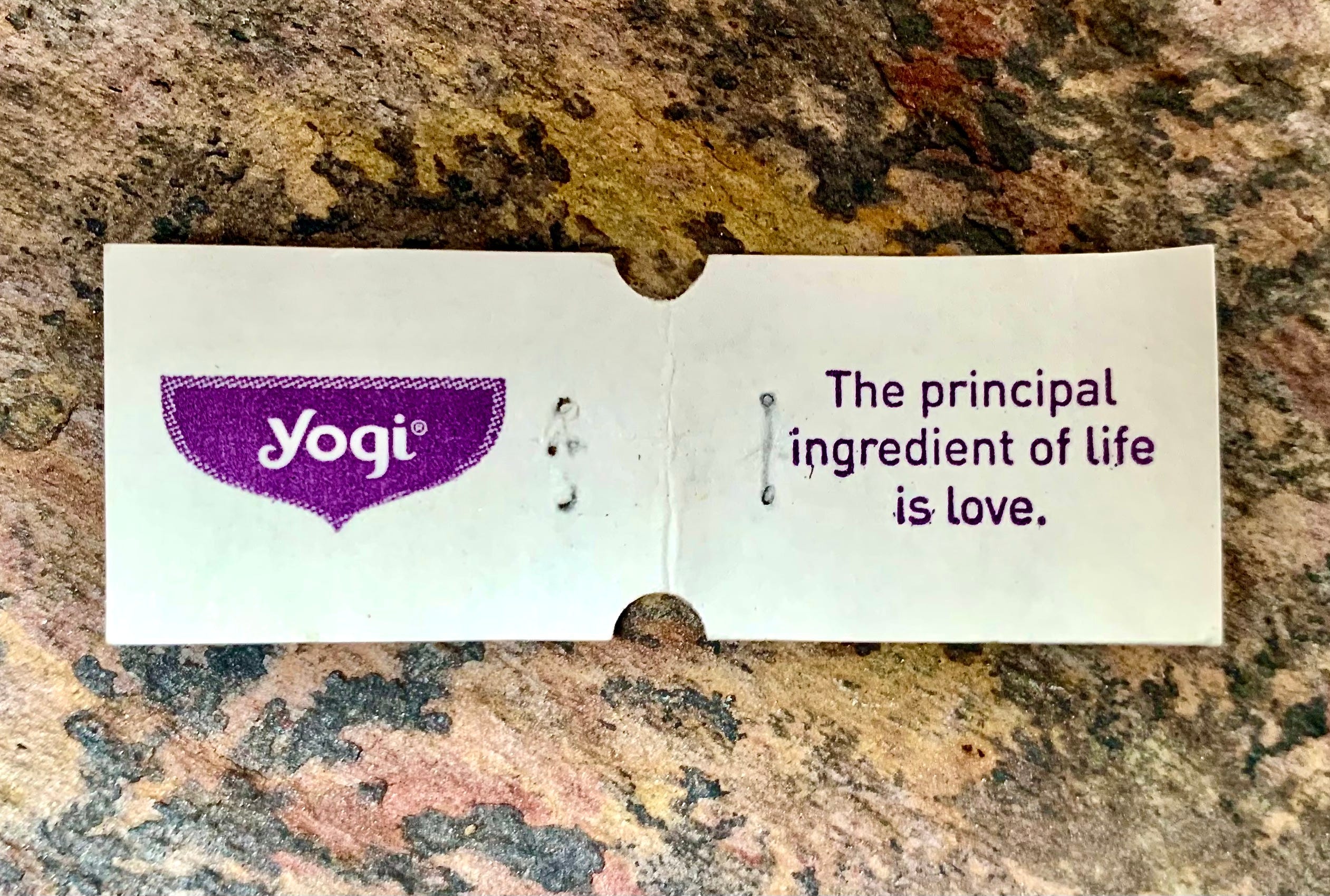 the principal ingredient of life is love - by darren harley