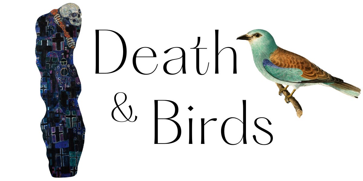 About - Death & Birds