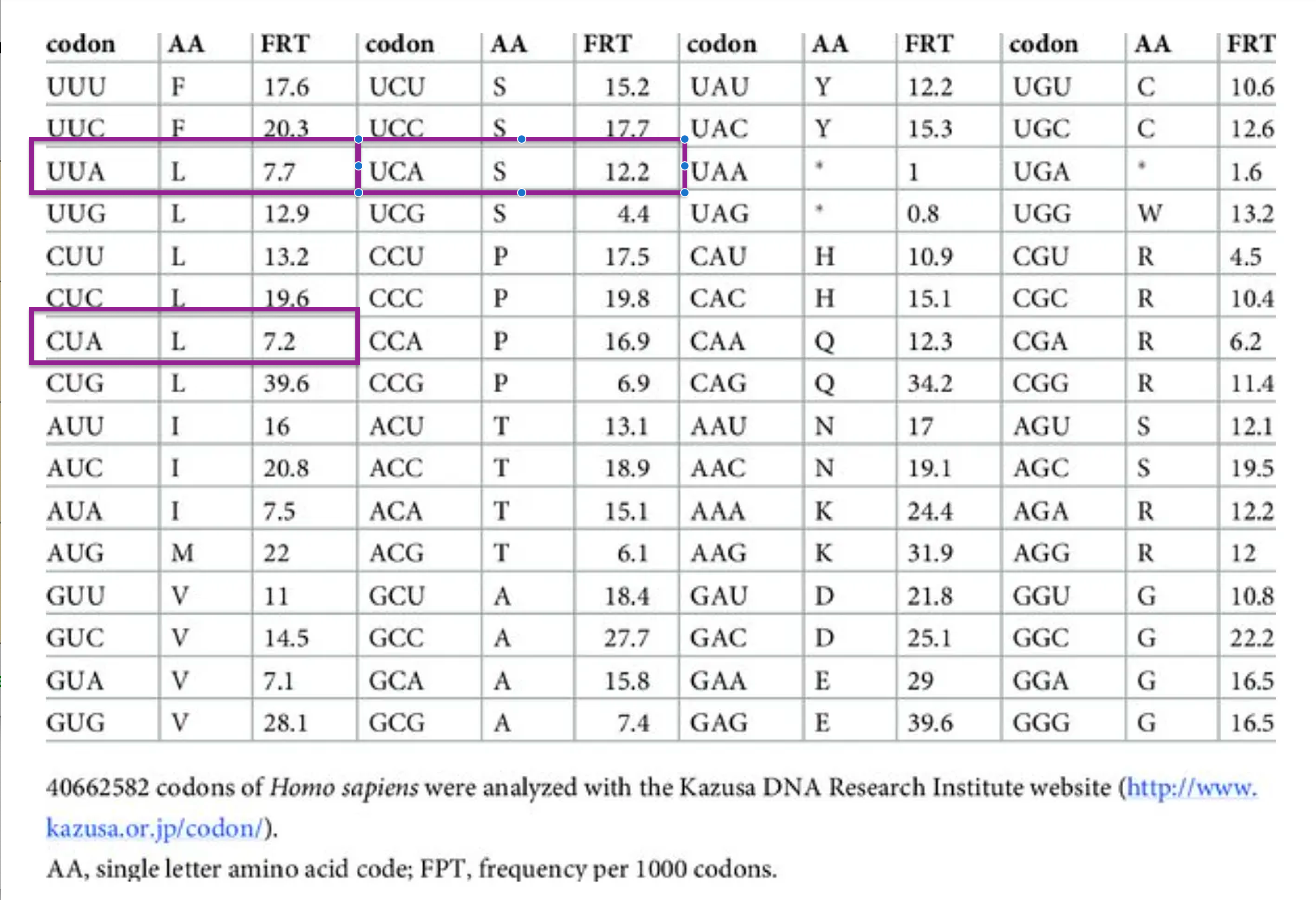 Can codon usage shed light on Spidroin? - by Anandamide