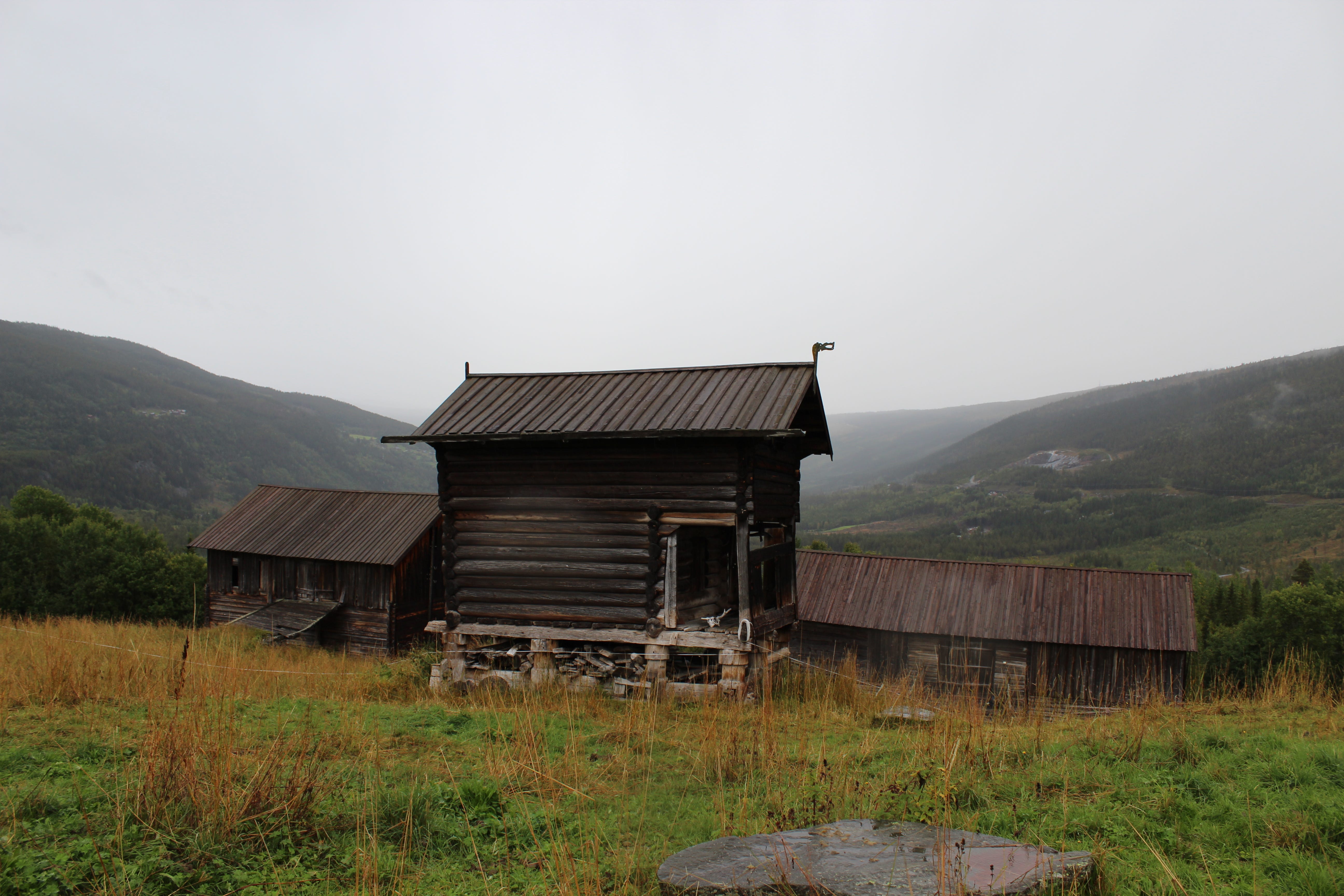 En märklig bonde i Hallingdal - Dan Korns Substack