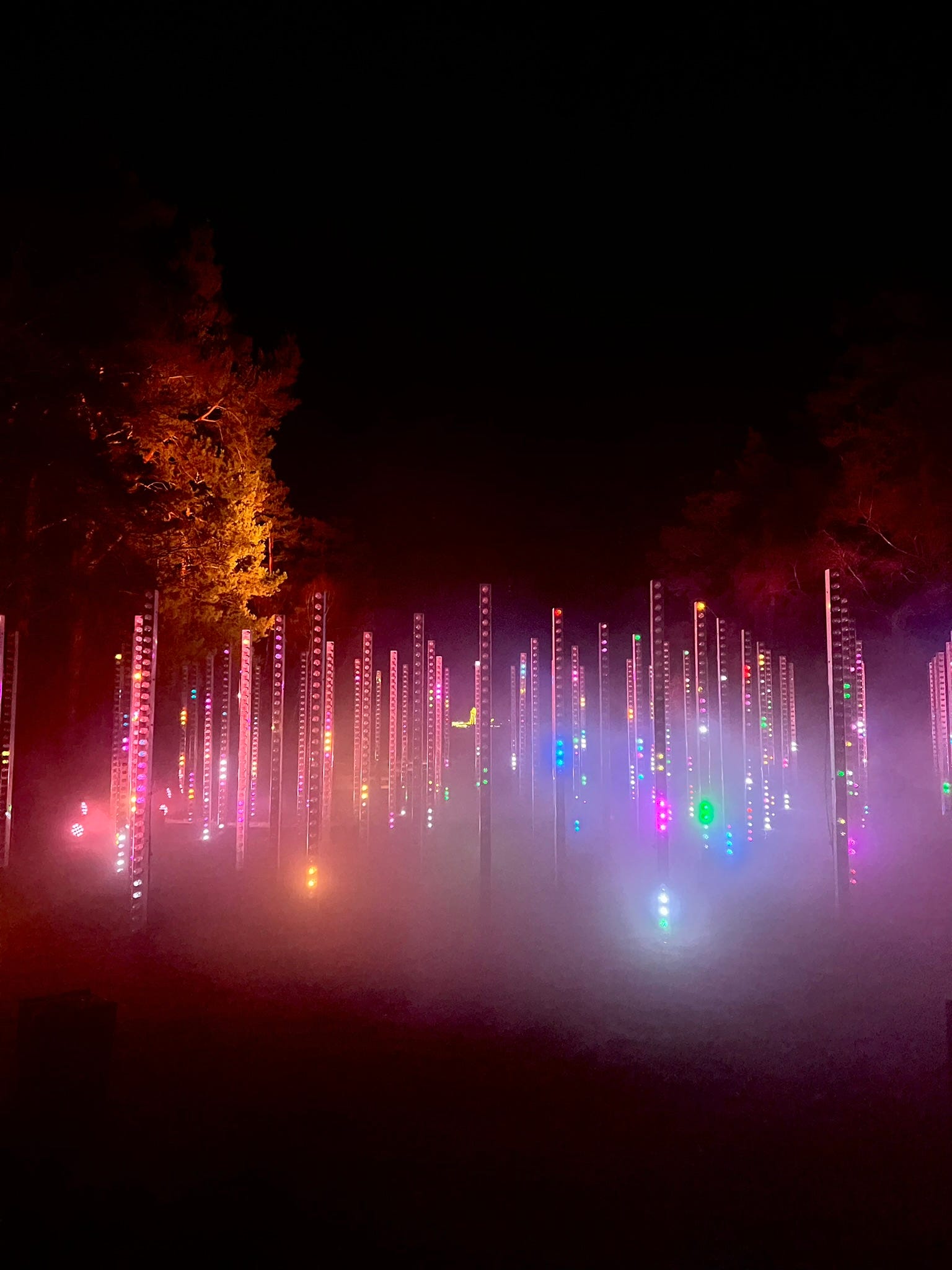 December pleasures 2023 - Stacia Briggs