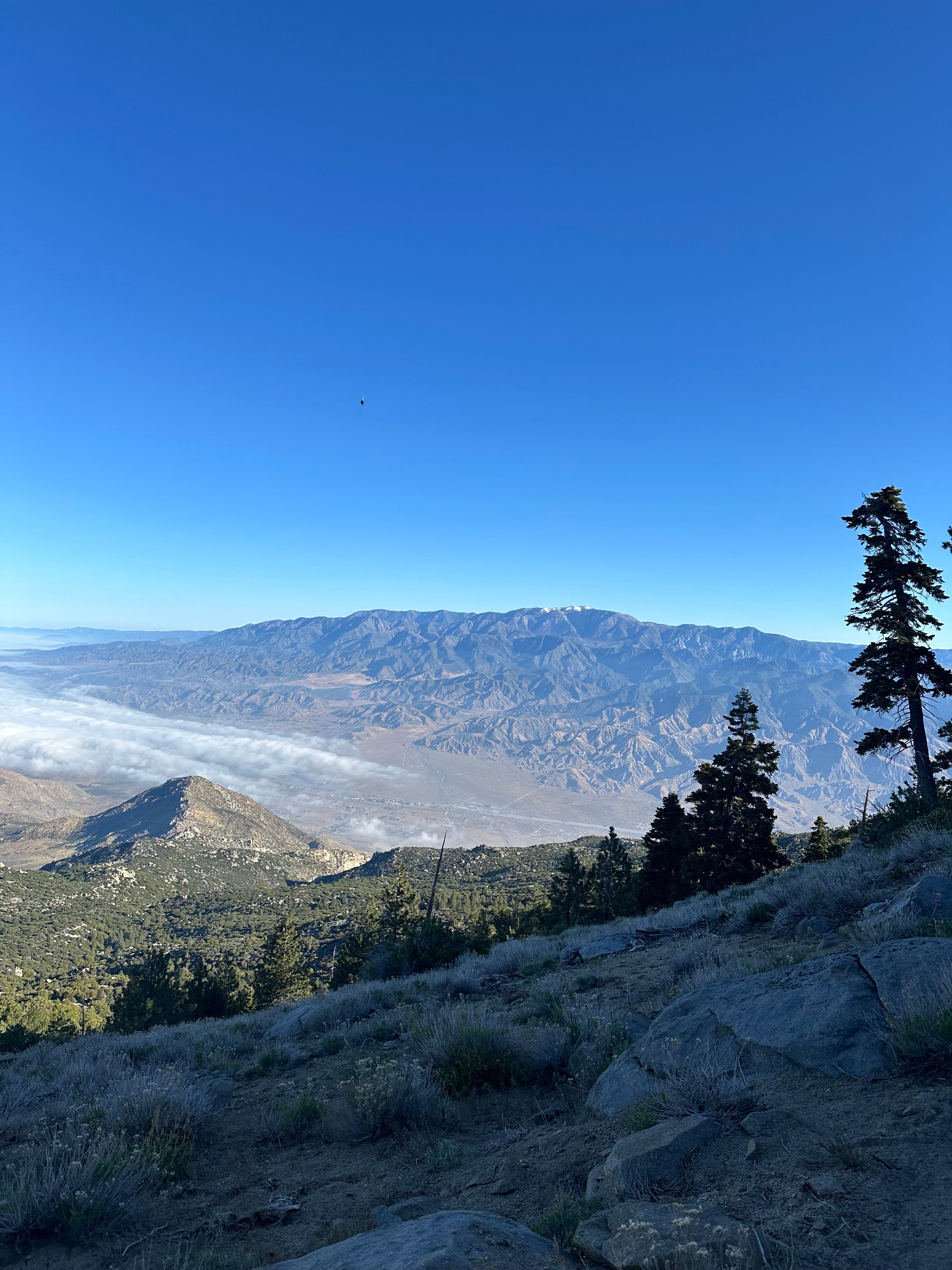 PCT week 2 & the rule of thirds - by Izzy Wagner