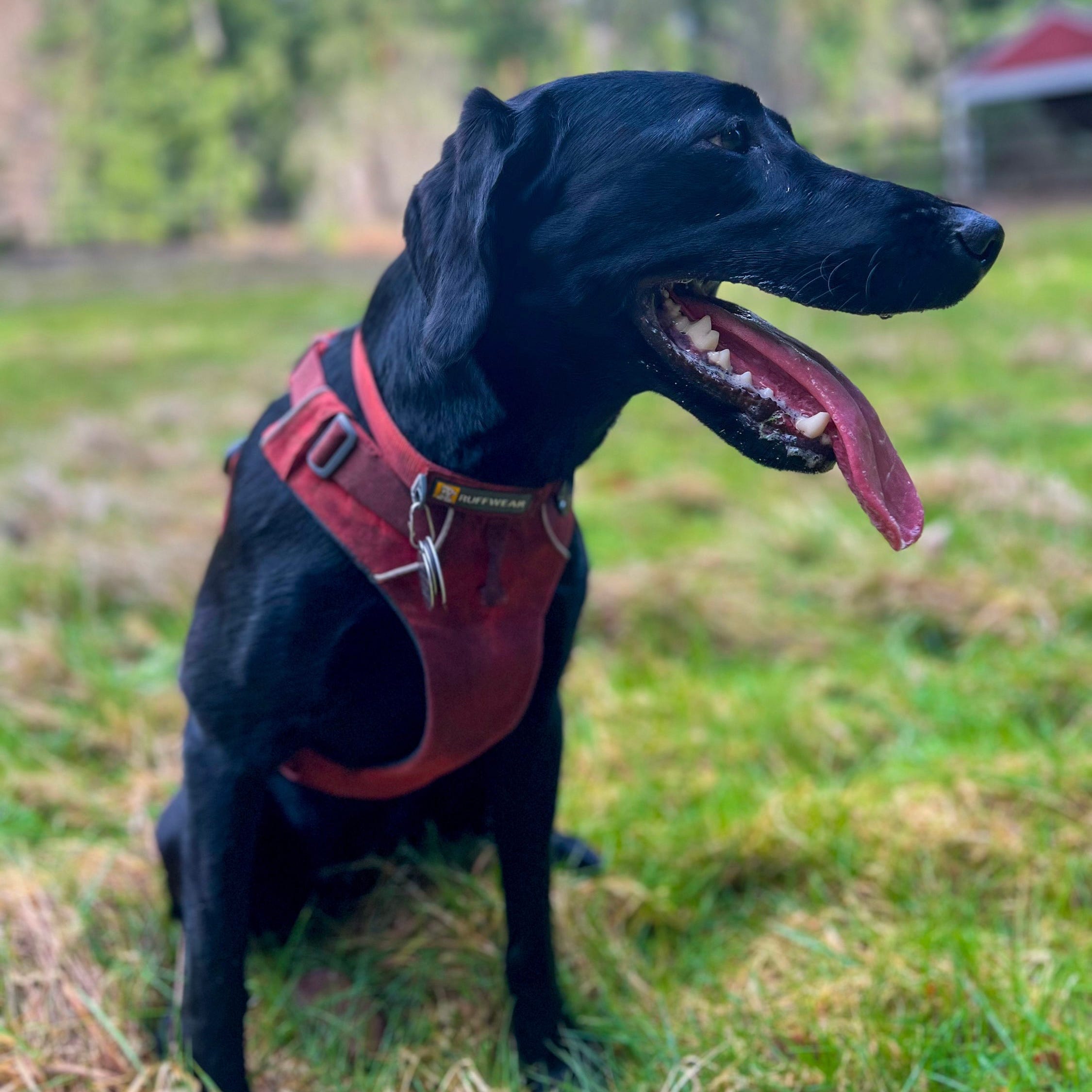 Cutoff casualties: Rent restrictions, recycling, tougher DUI standard die