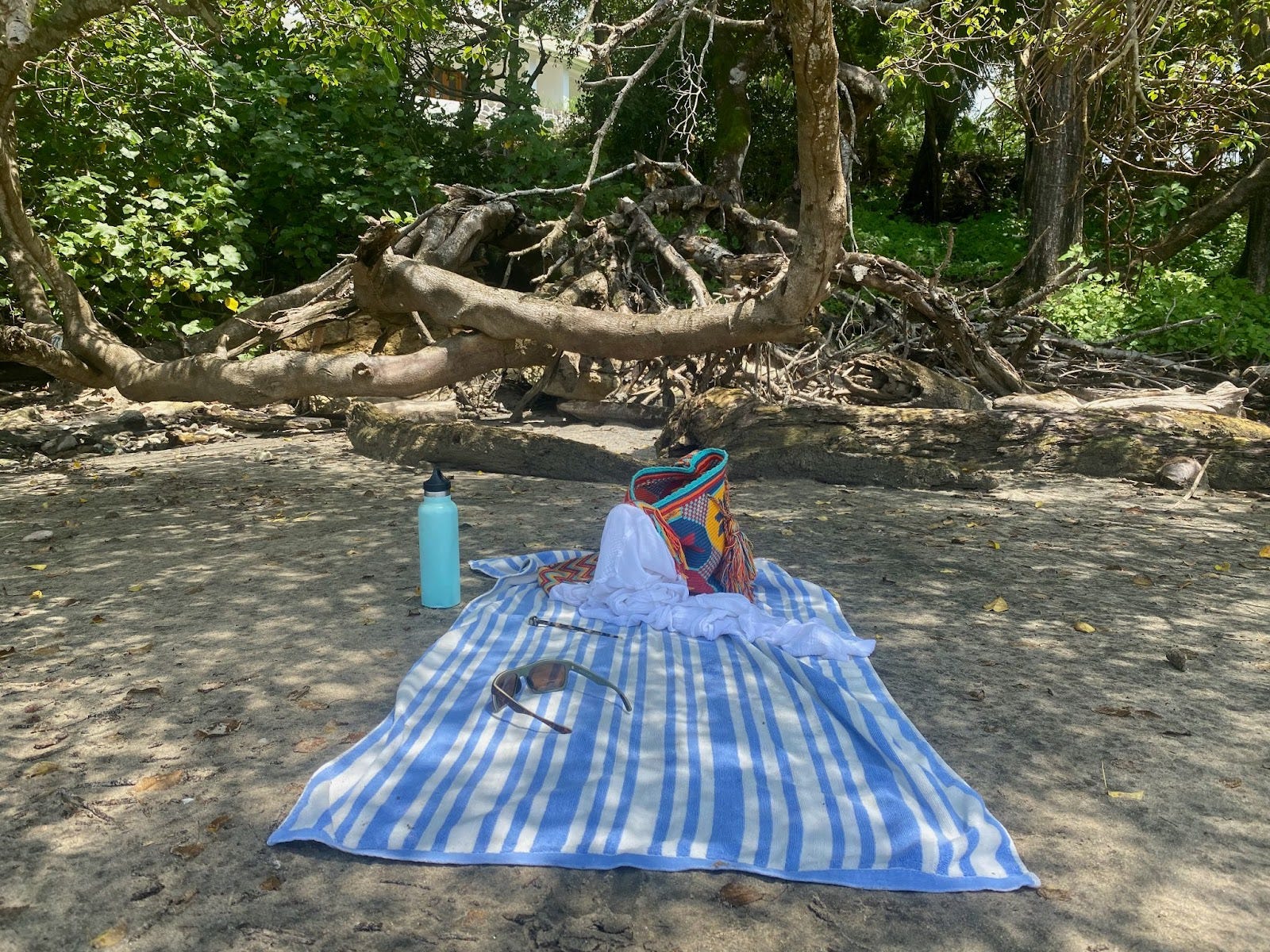 Gratitude and Embracing Transformation - by Christine Ruch