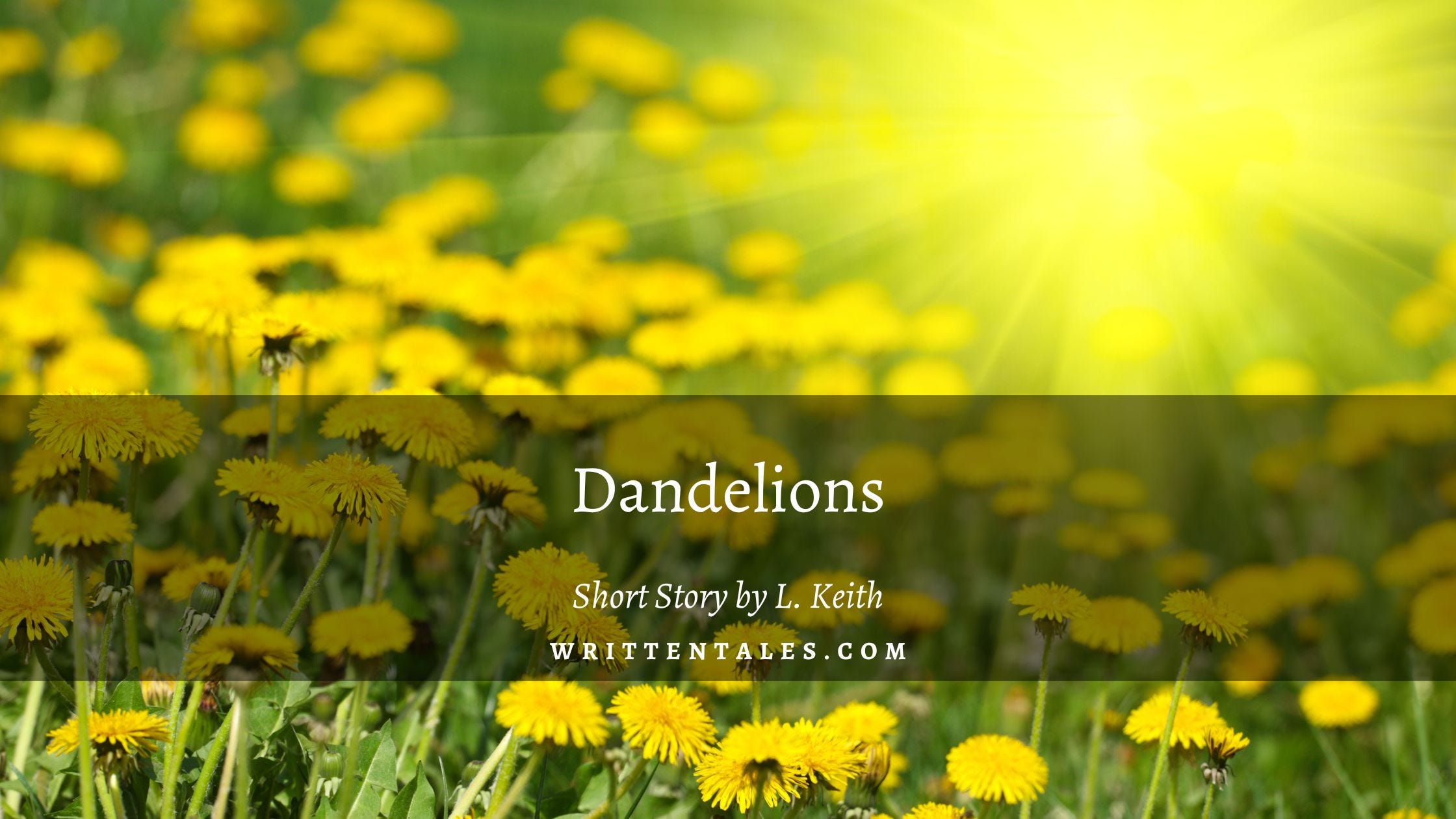 Dandelions - Written Tales Magazine