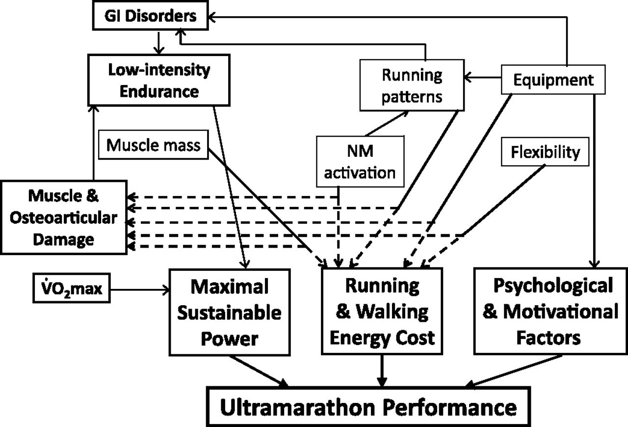 The Overlooked Aspects of Ultramarathon Training