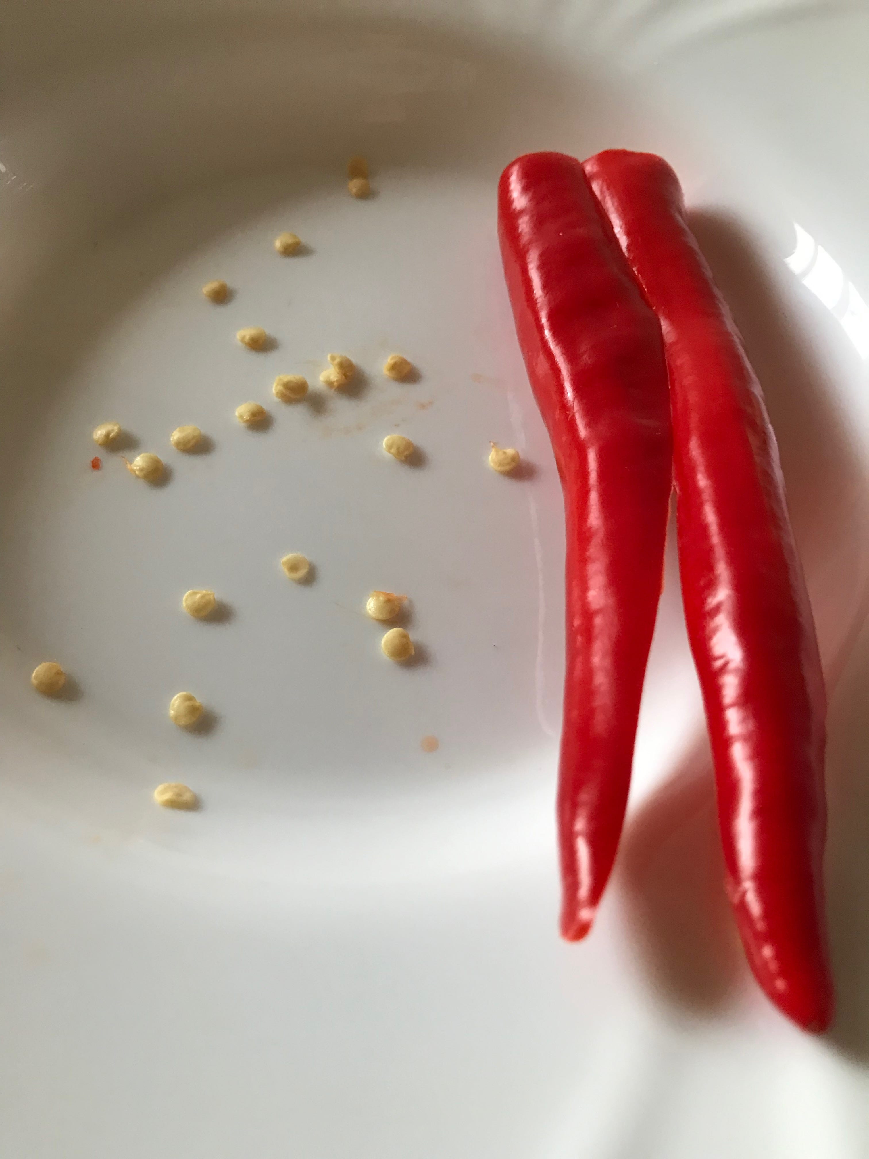 Getting Sidetracked - by Marko - Snapped