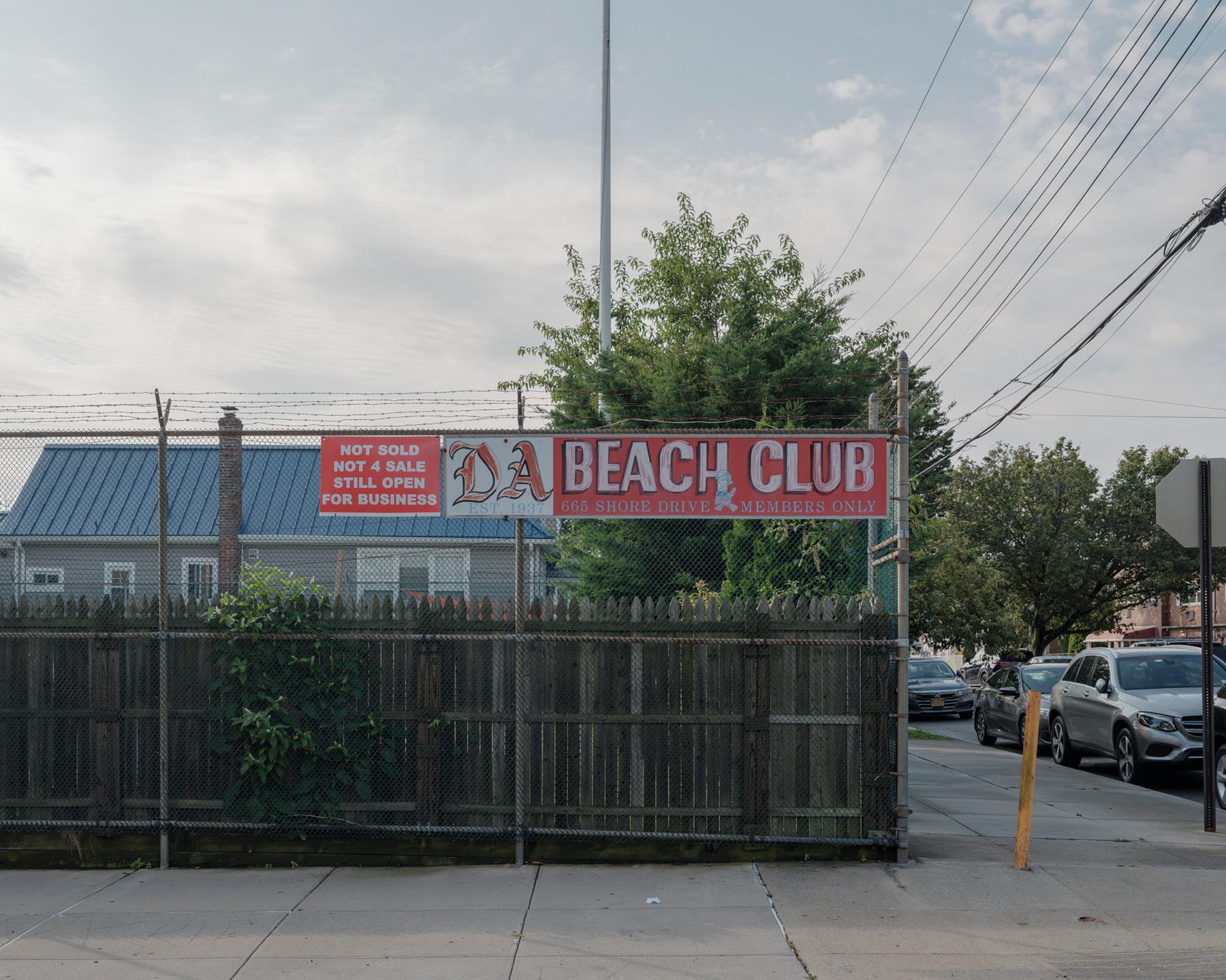 The Helpless Benedicts of Electric Avenue