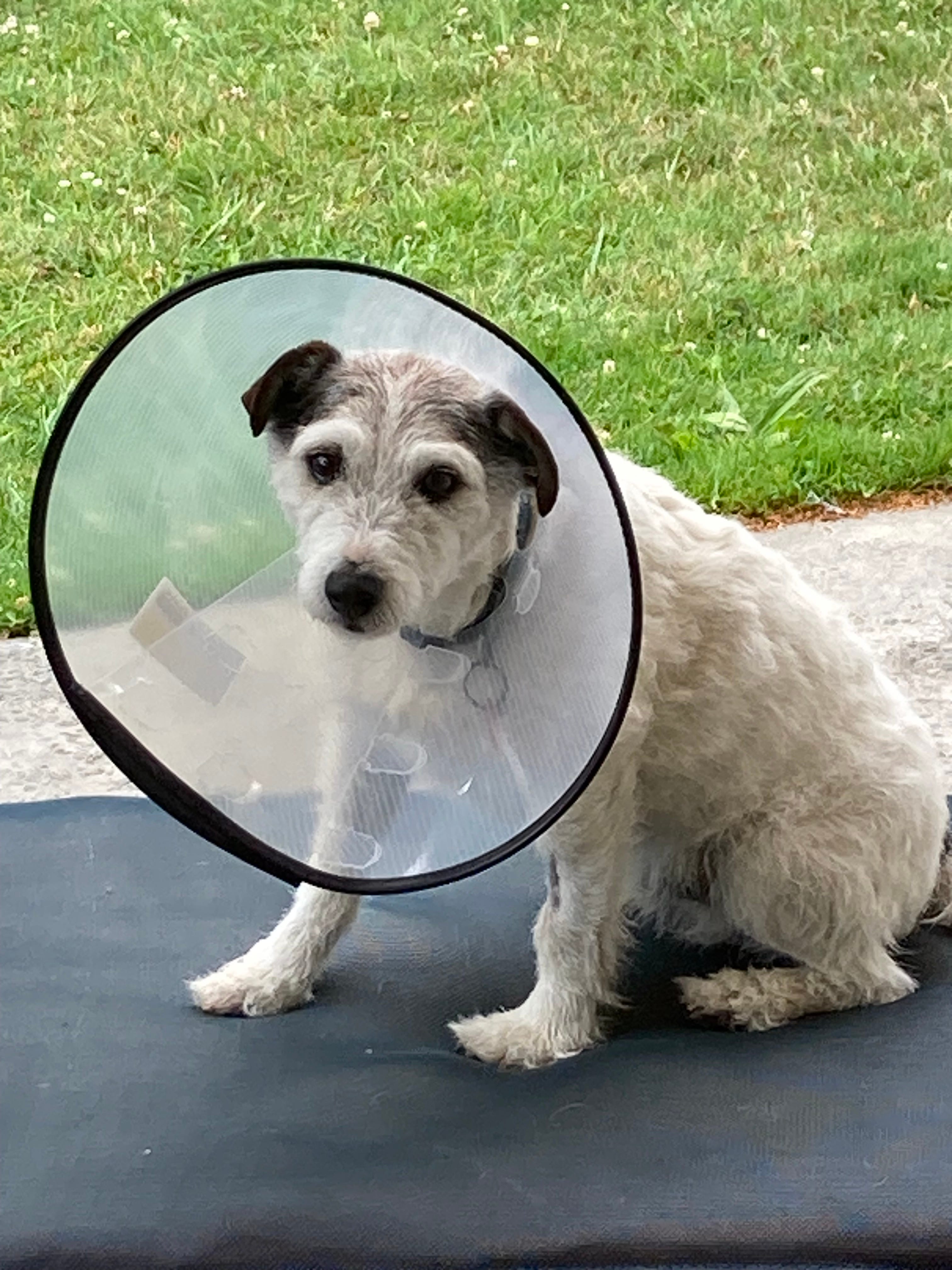 Woe... - by prue batten - Knots in the String