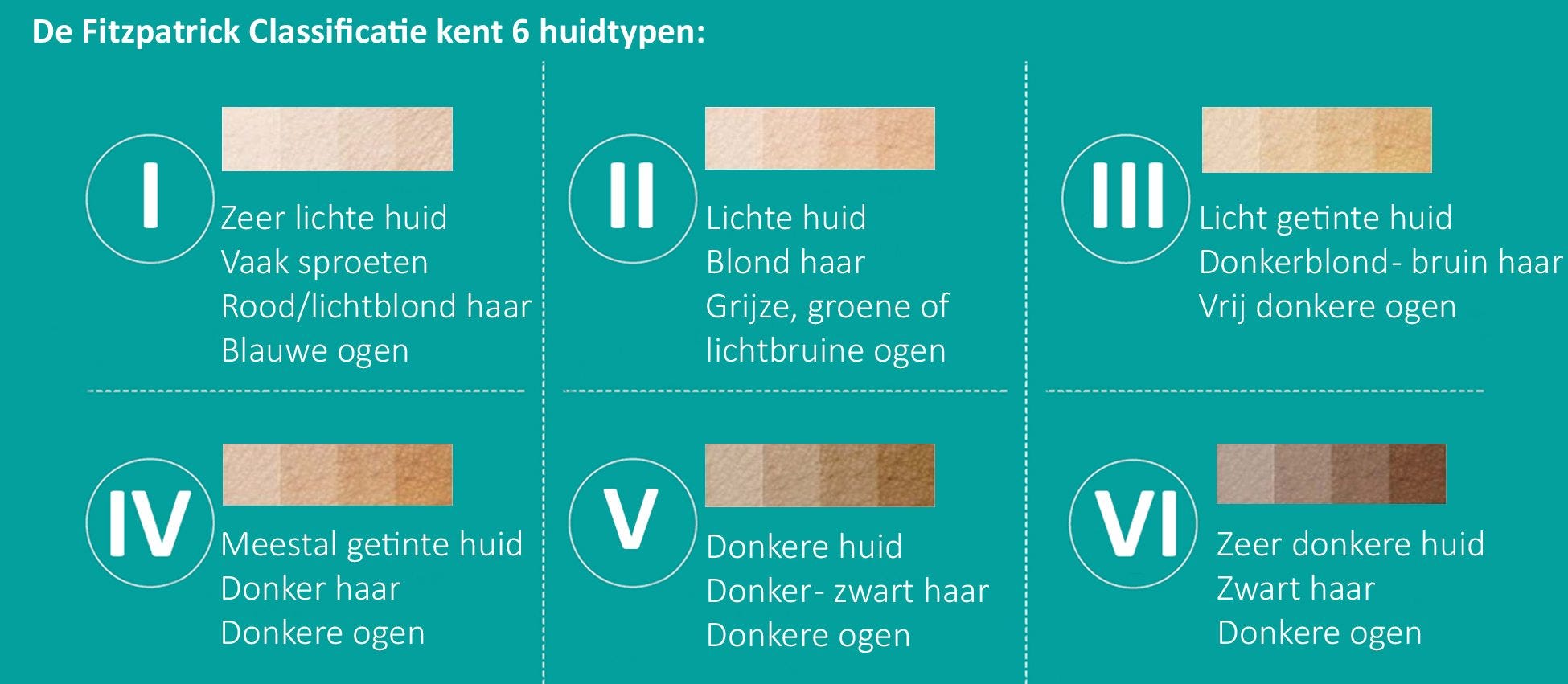 Zonnetraining 101 - by Lars van den Nieuwenhoff