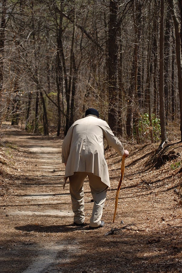What Is It That Makes Old People Look Old When Walking?