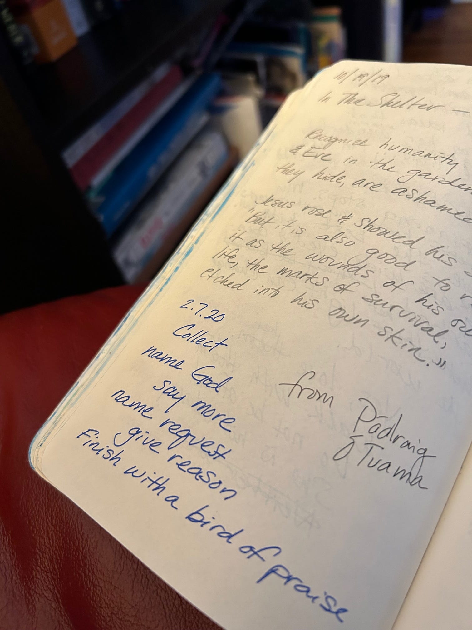 Collects - by Tricia Williams - Tricia’s Substack