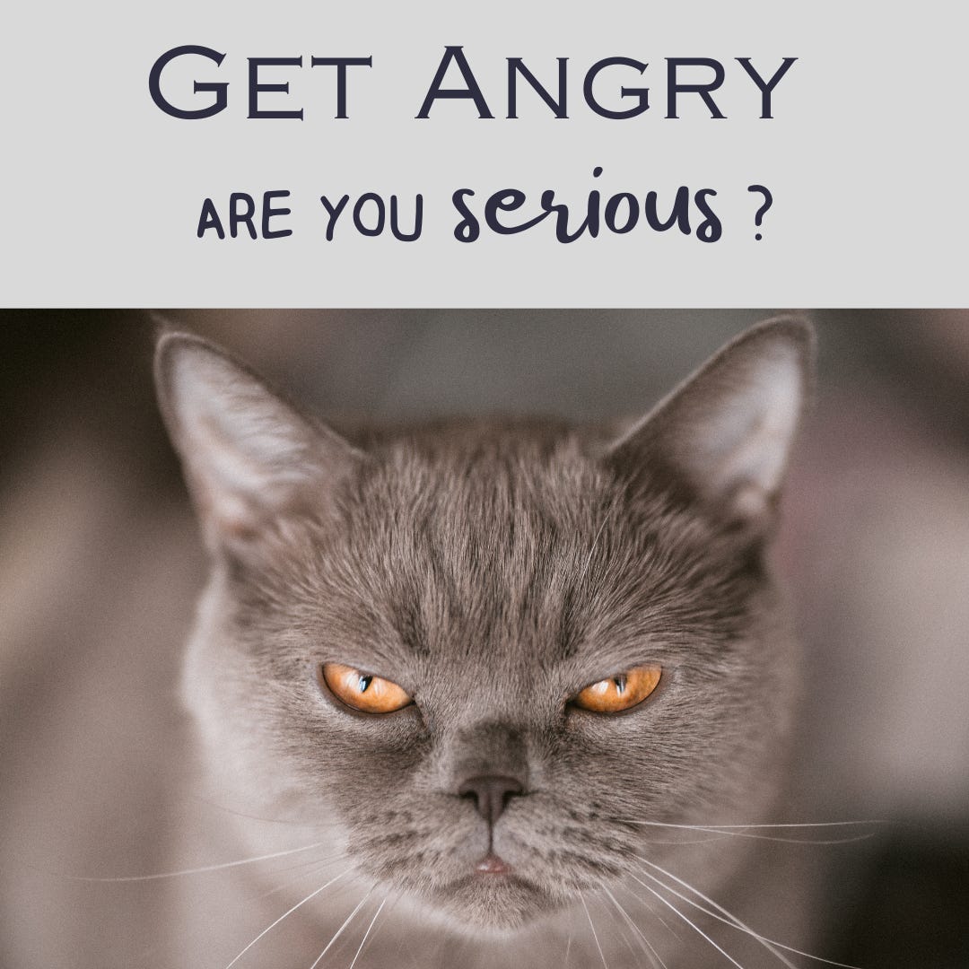 Too Nice to be Angry - by Joy and Ease with Dawn Drew