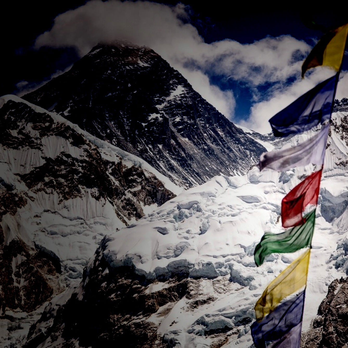 Melissa Arnot Reid | Substack