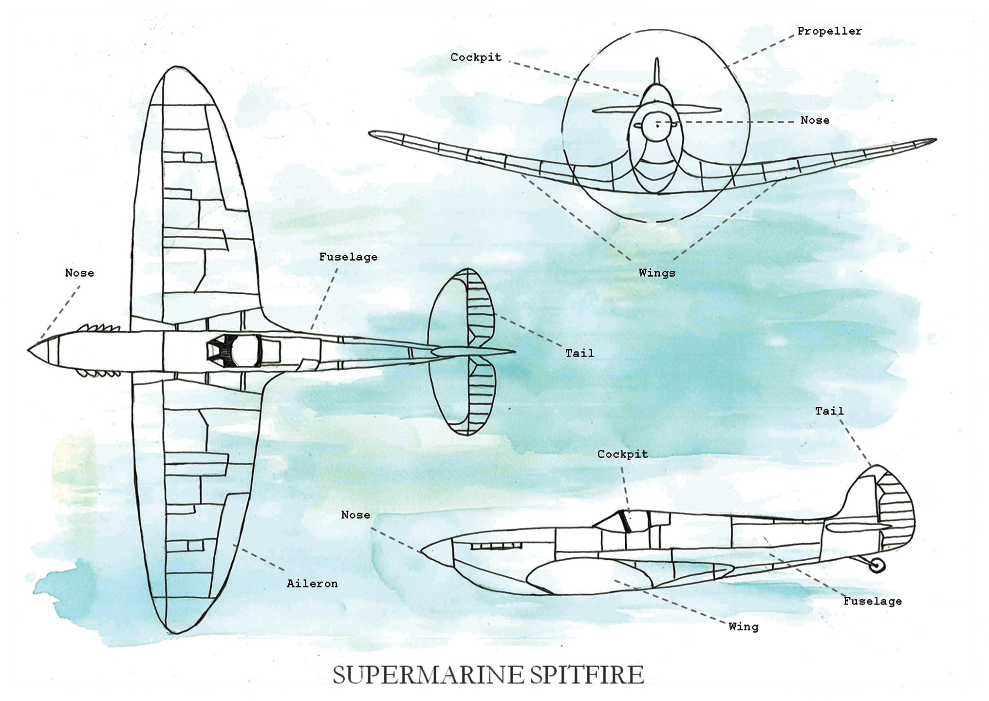 Spitfires: History and Engineering - by Geneviève Hopkins