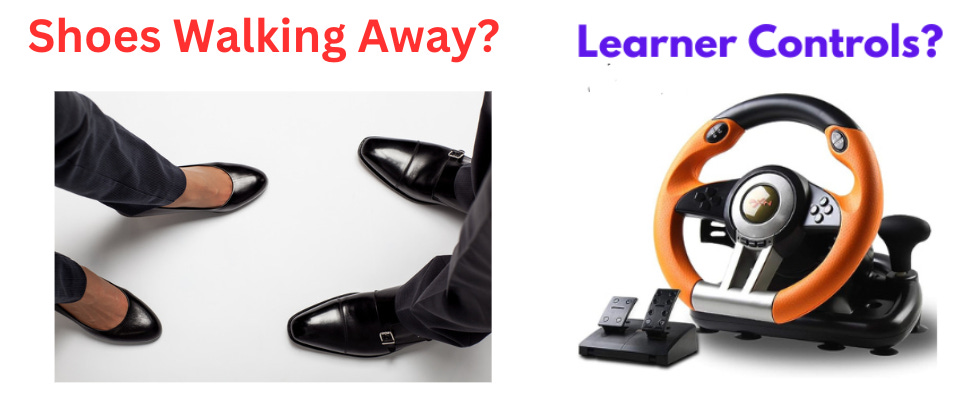 Learners as Drivers: Controls and Pedals?