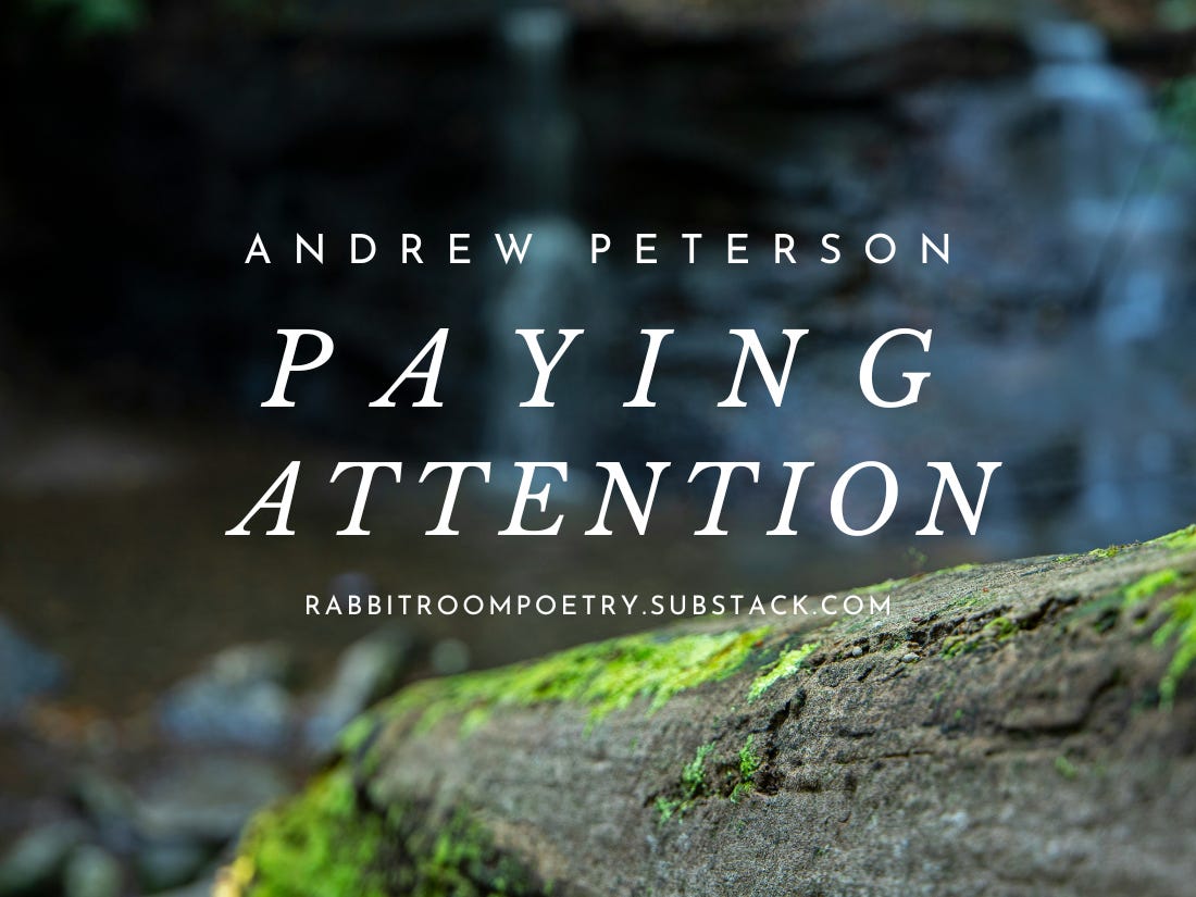 Paying Attention—Andrew Peterson - by The Rabbit Room