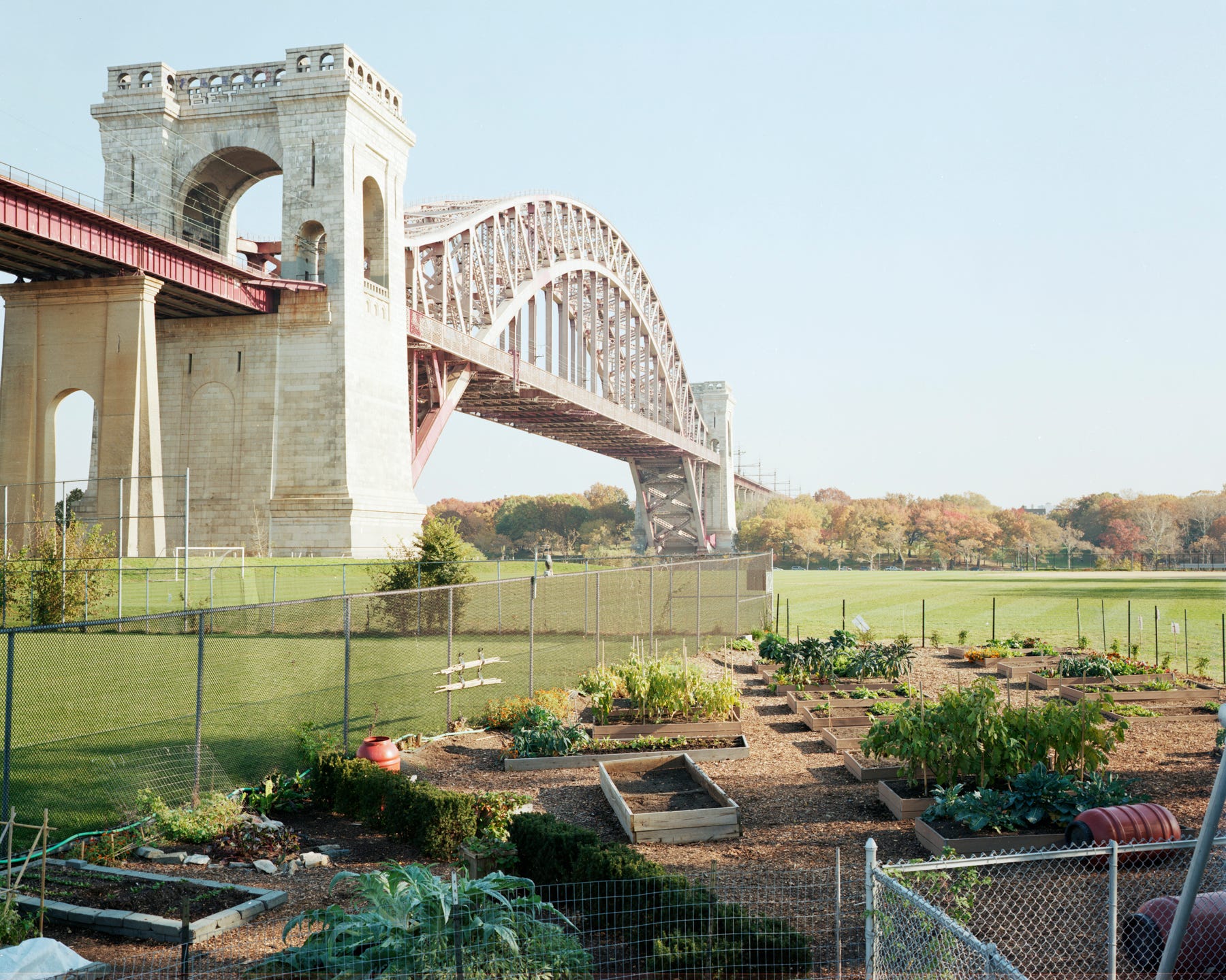 Randall’s Island - Manhattan - by Rob Stephenson