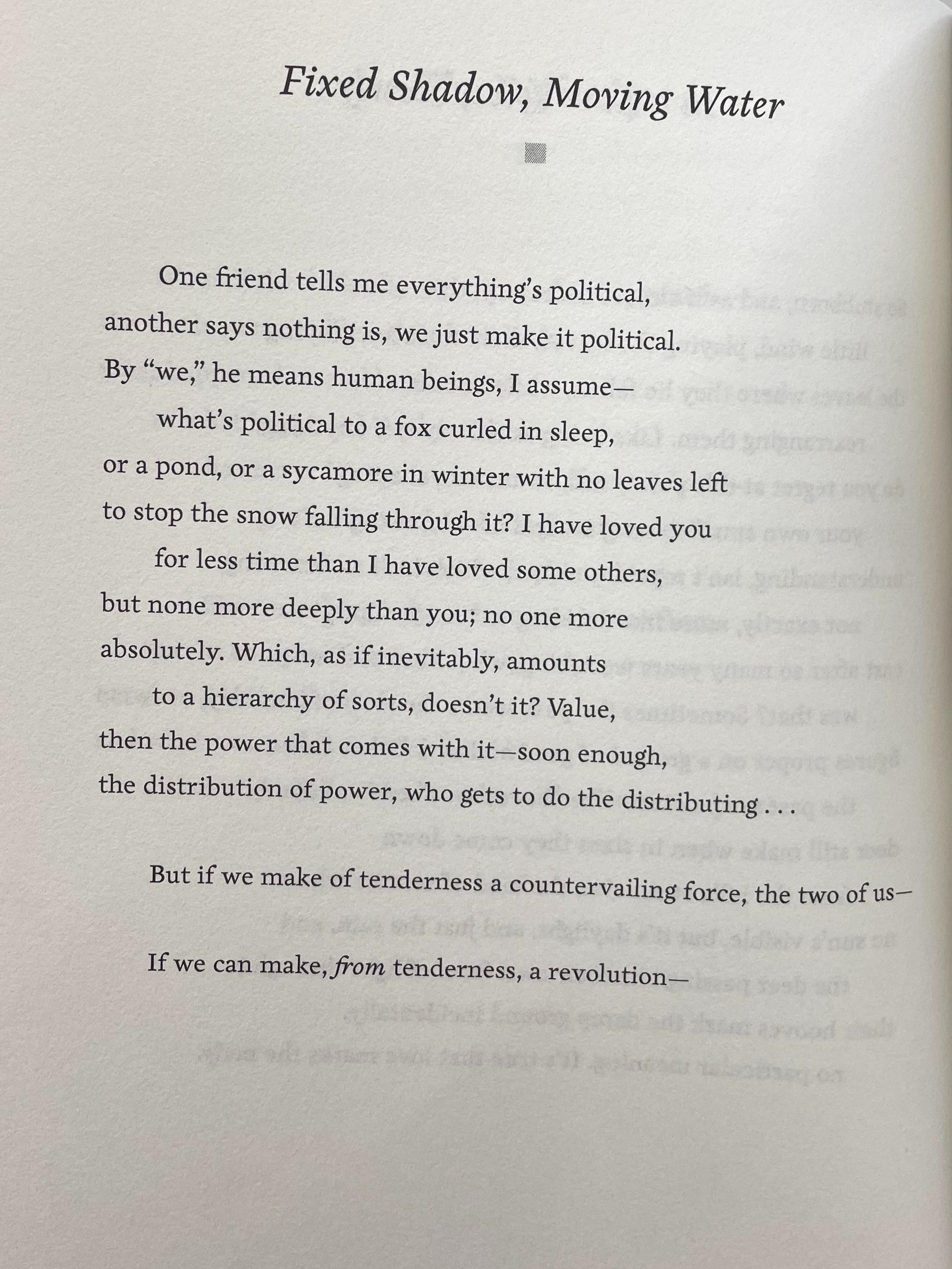 #2: Carl Phillips' 'Fixed Shadow, Moving Water'