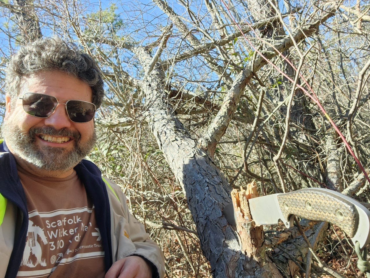 Blazing a New Trail in the Pine Barrens - by Thomas Pluck