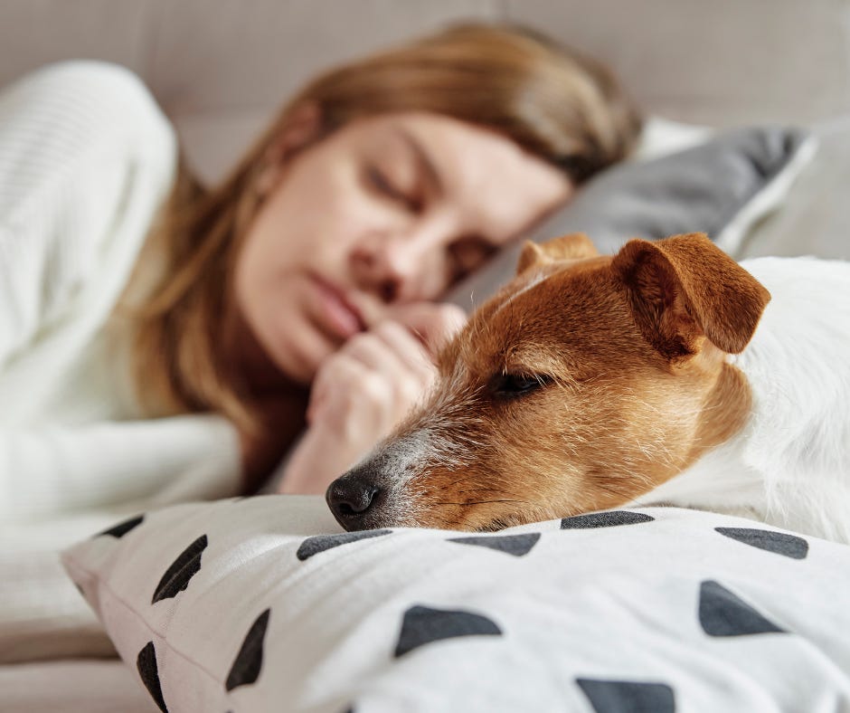 Turning Over Bedtime and Wake-up Times to my Kids