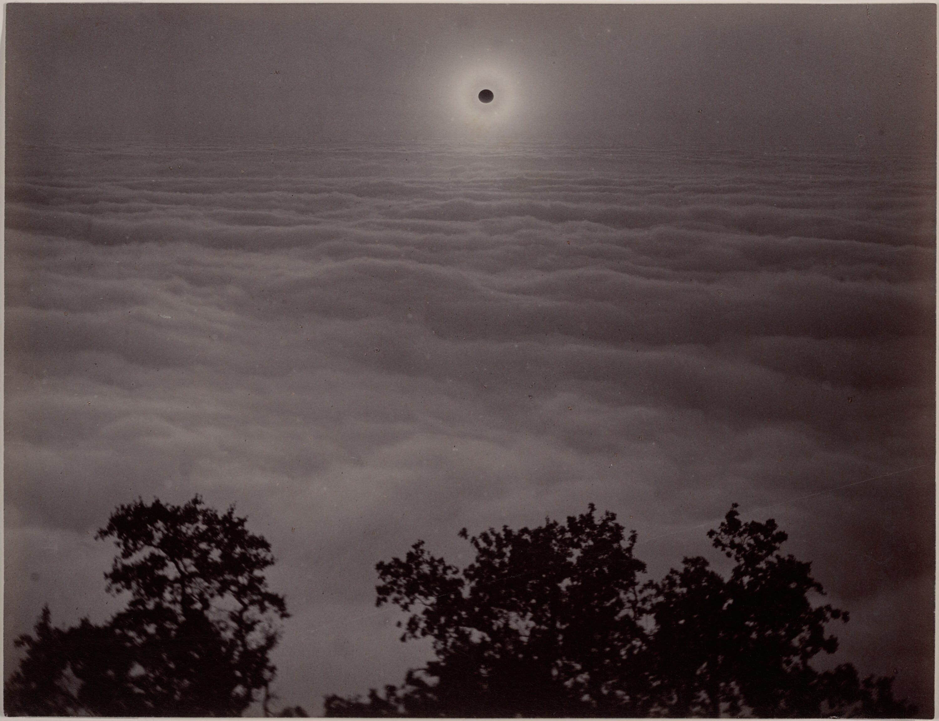 The path of totality - by Andy Adams - FlakPhoto Digest