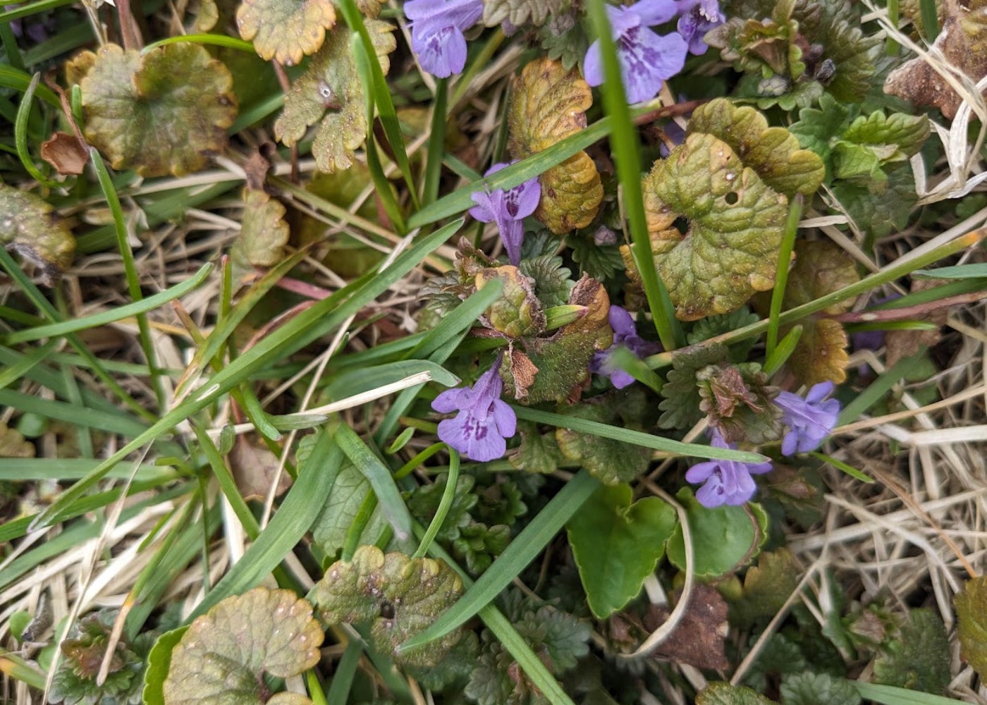 Directions - Abby Harding Writes