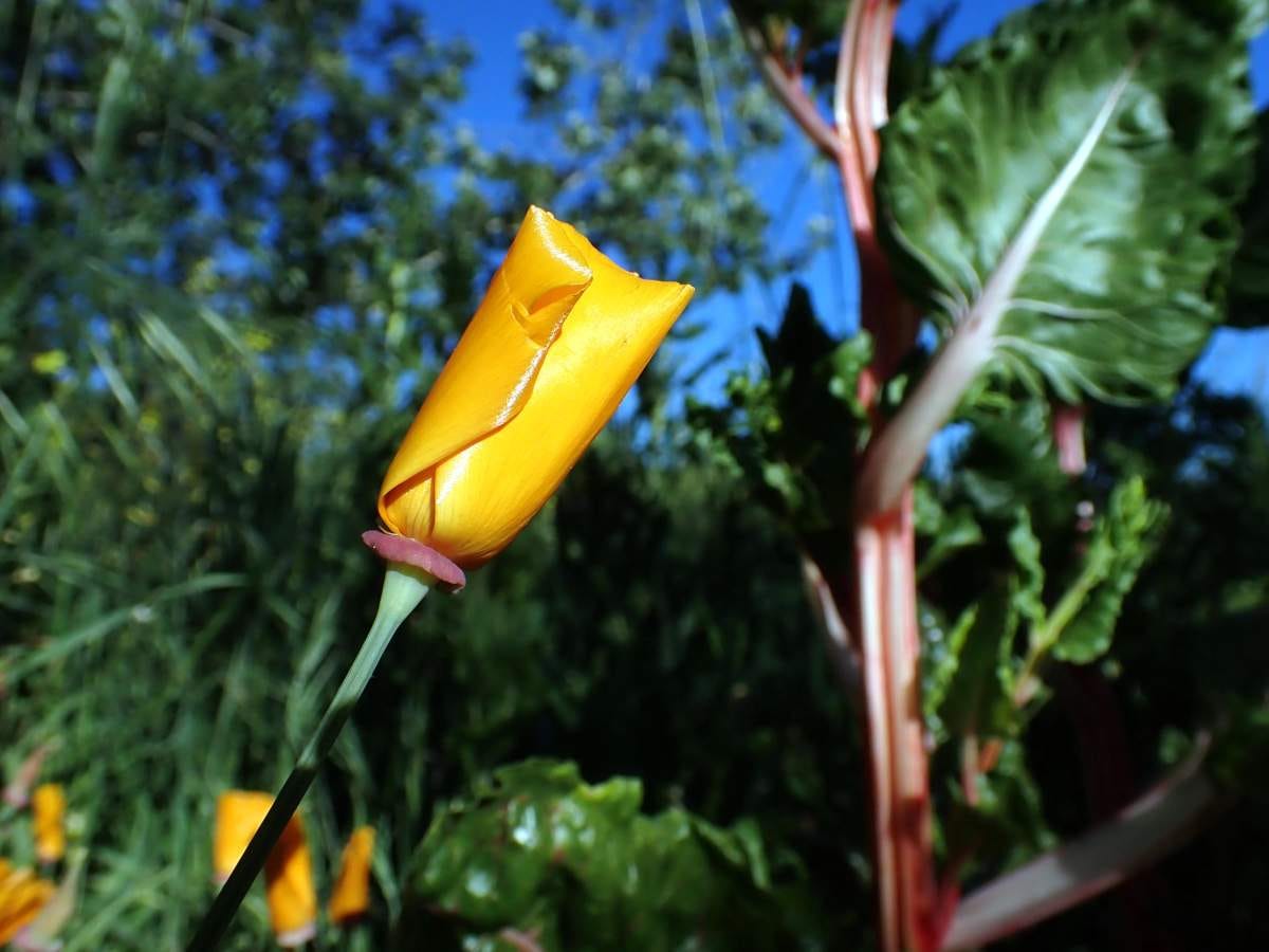 A Personal Update, with Reflections on Farming