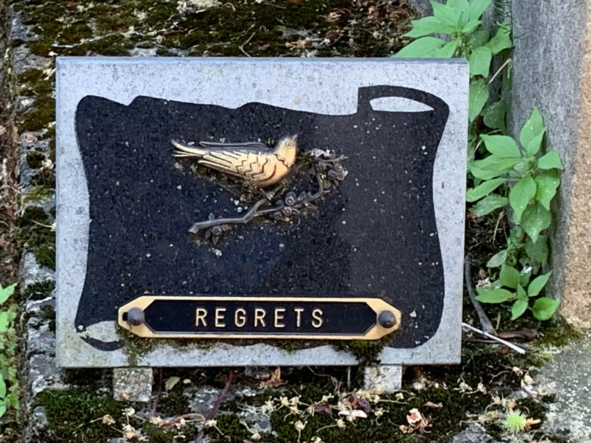 It's a Wilde World - John Leman Riley