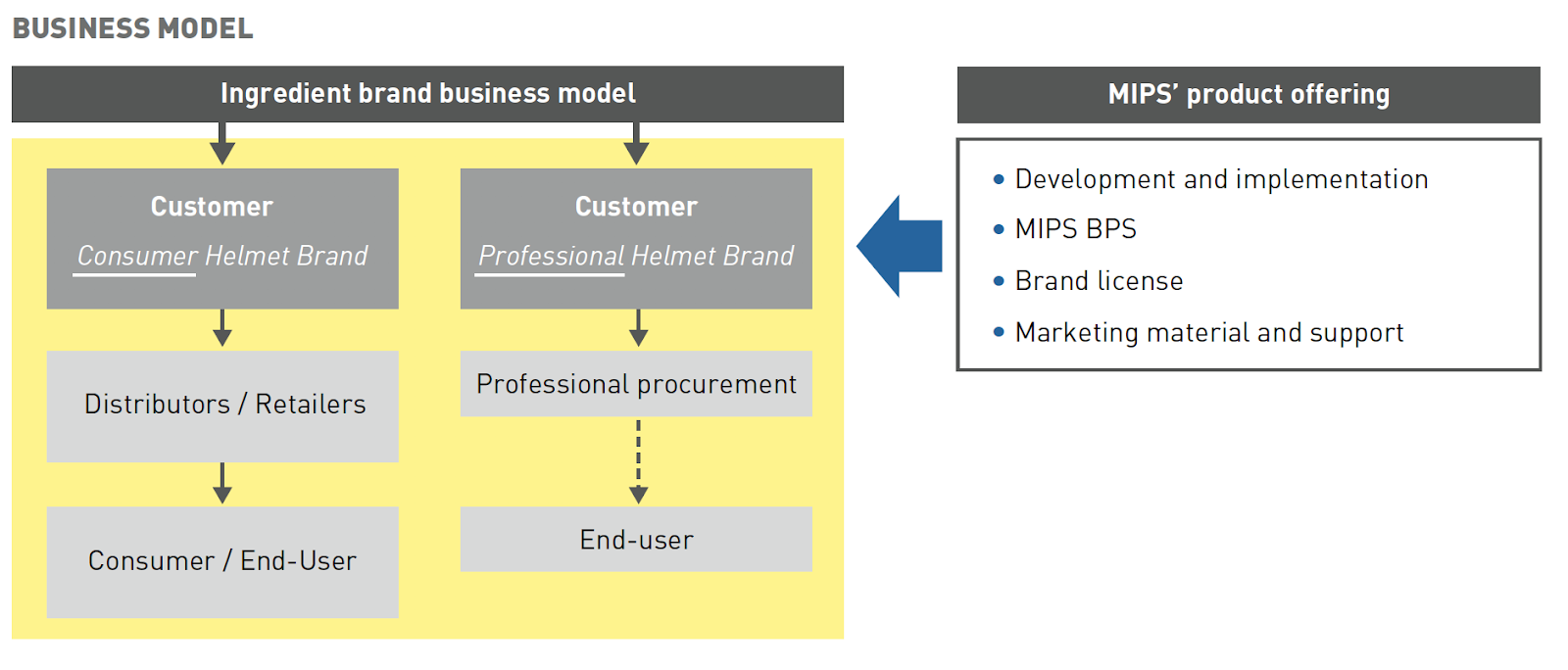MIPS AB – Helmet Safety Monopoly with No Worthy Rivals