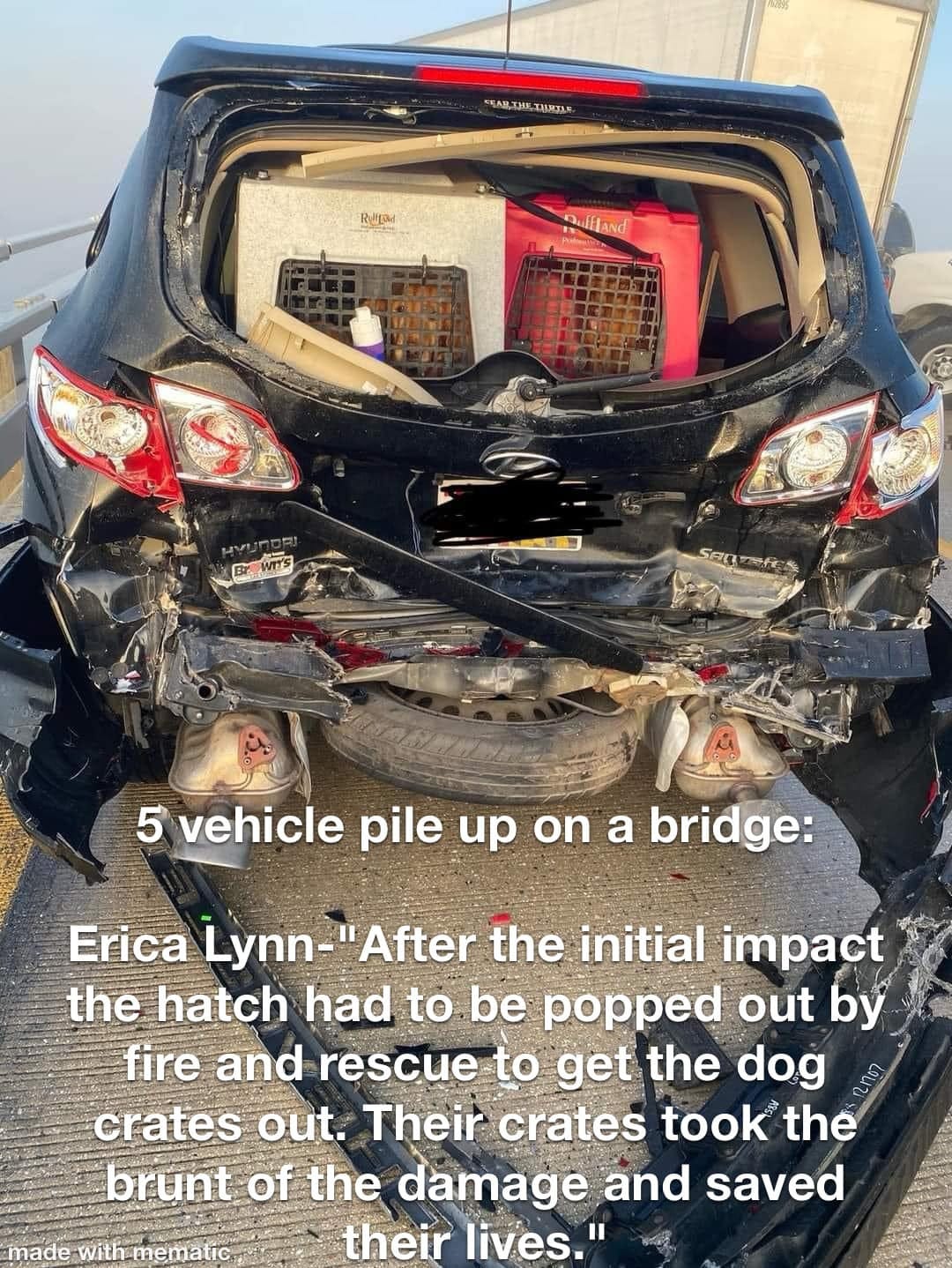 Ruff Land Crates - Moonlight Vizslas