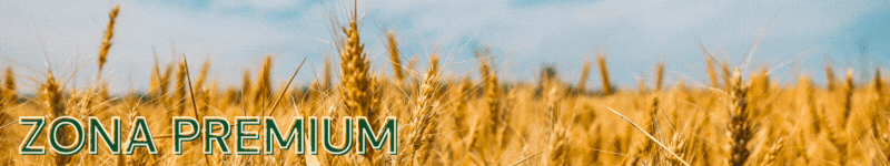 Un milion de tone de grau romanesc au plecat in Spania