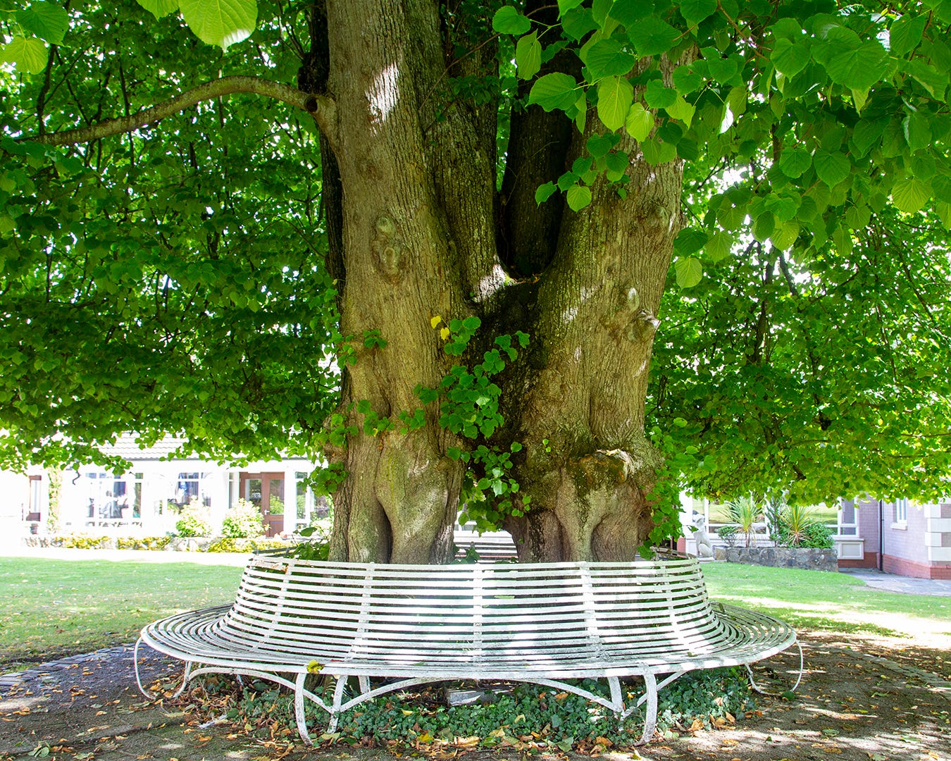 10. Peace and Reconciliation Tree - by Paul Wood