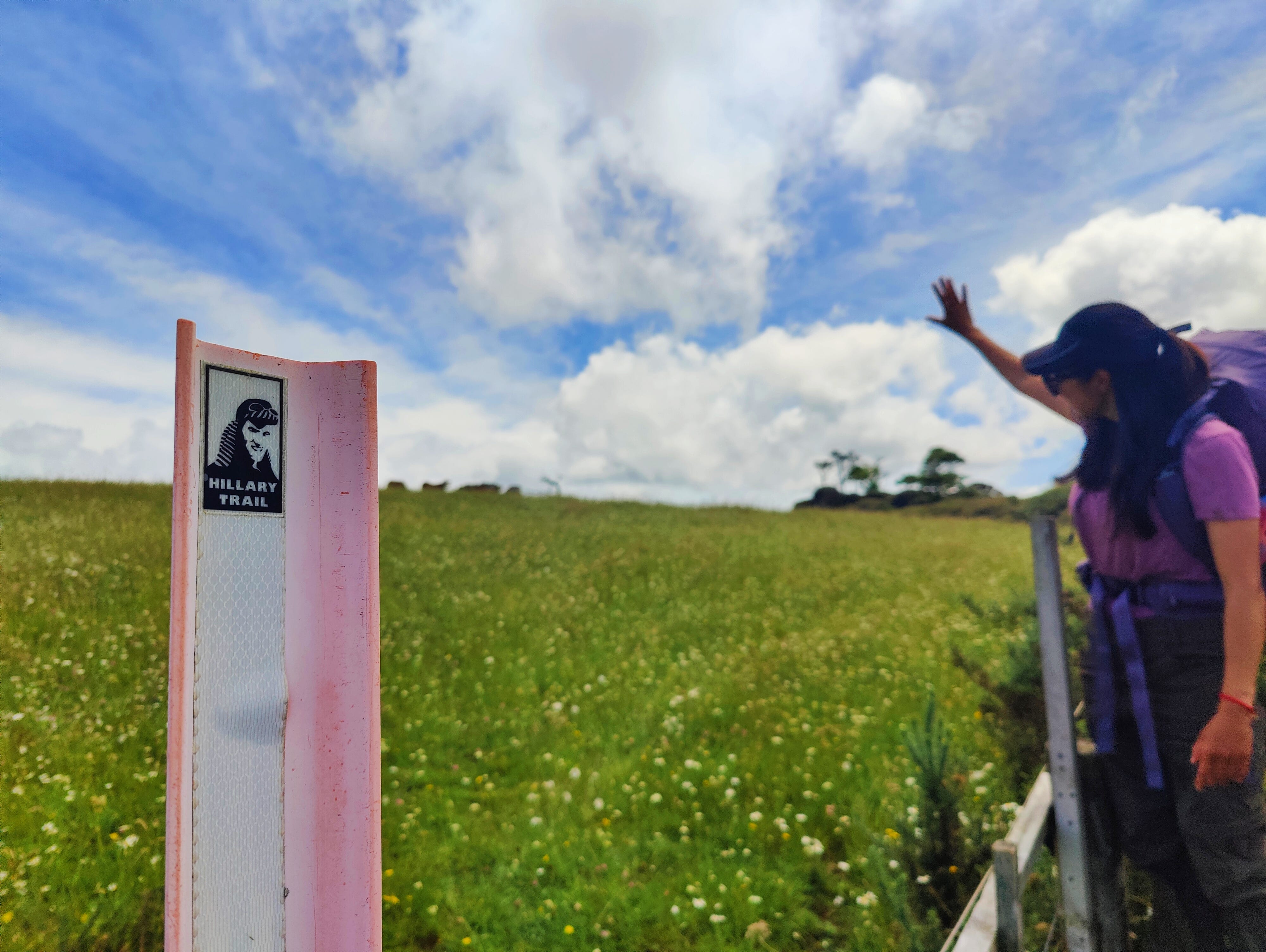 Hiking the Hillary Trail, in the Waitākere Ranges