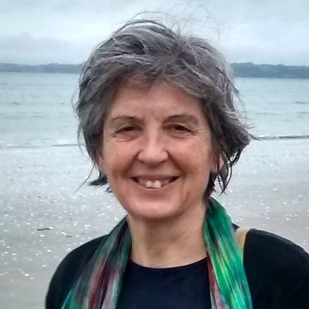 Sally Gillespie | Substack