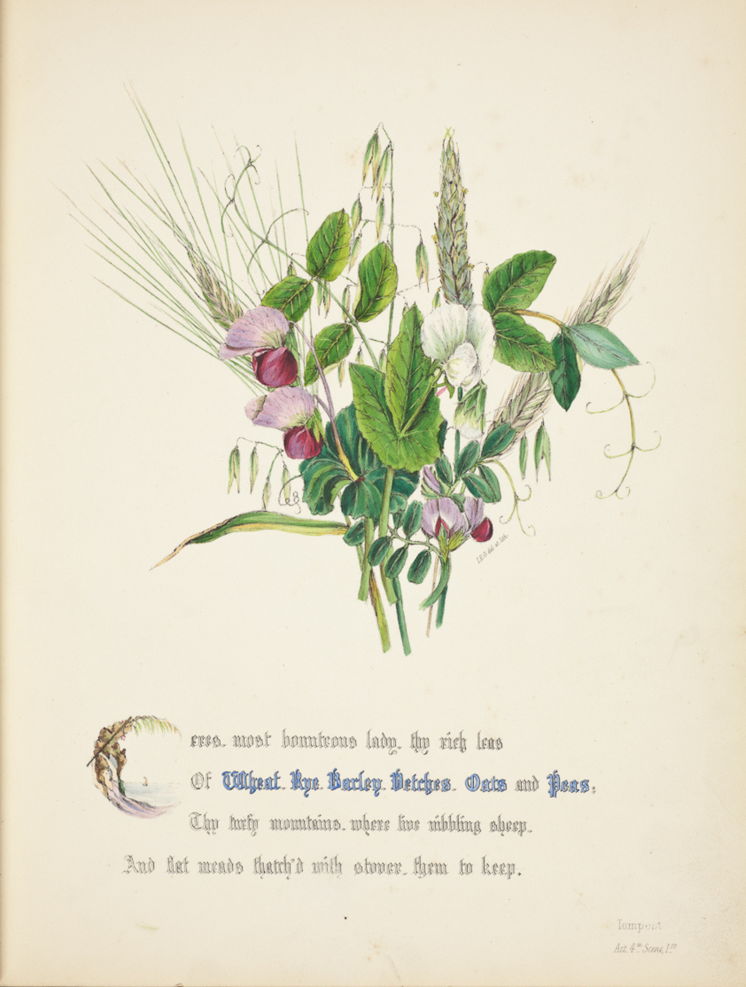 The Shakespeare Garden: Jane Elizabeth Giraud's Posies and Elizabethan ...