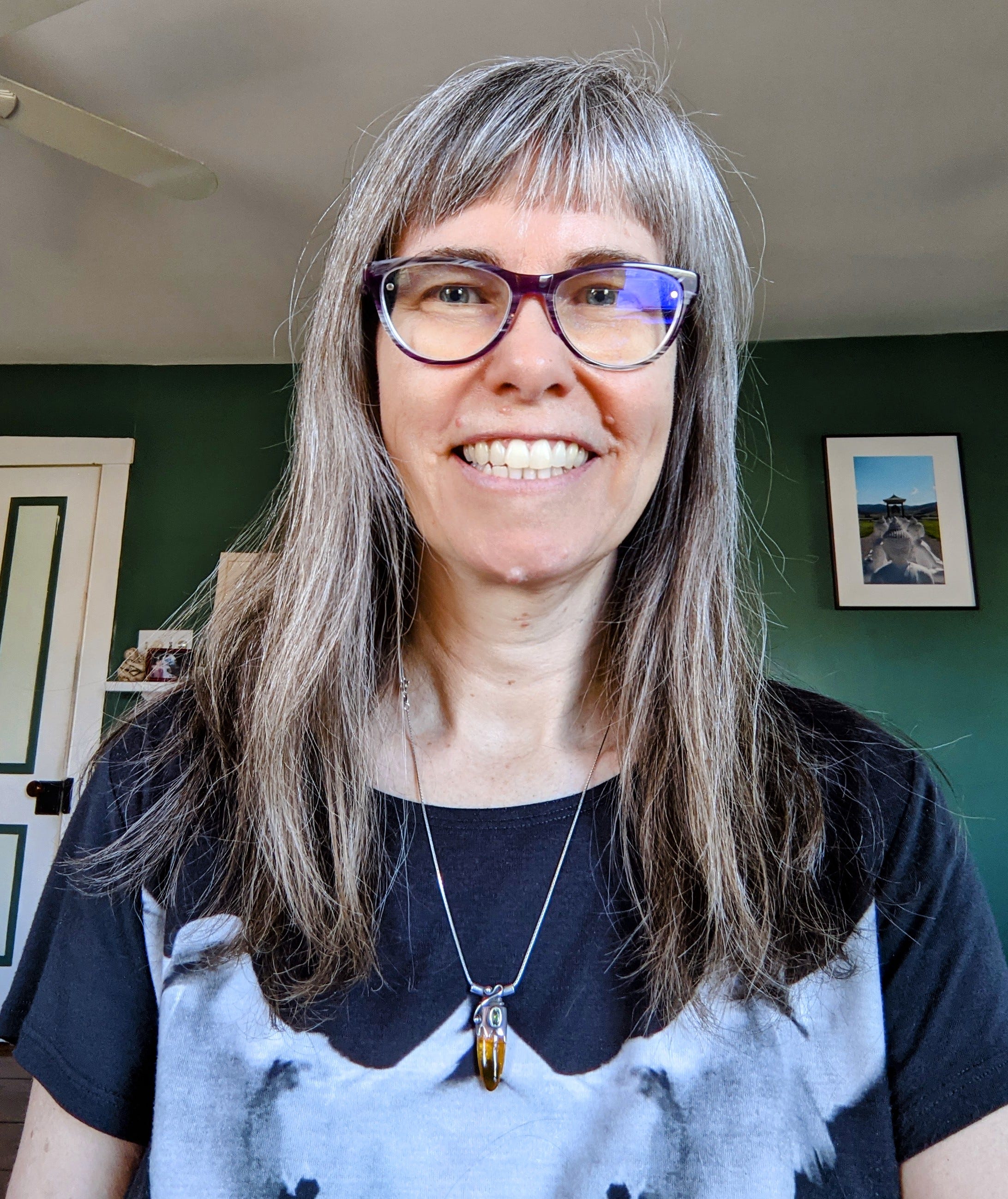 Carolyn Cushing | Substack