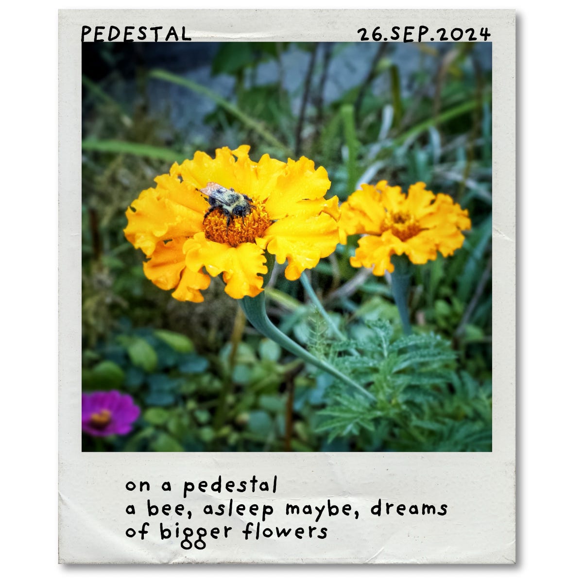 pedestal - by RVM4 - Richard’s Substack