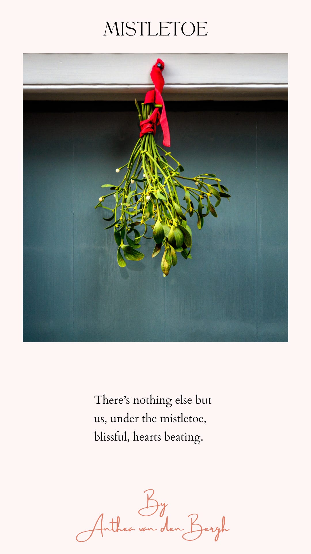 Mistletoe: A Christmas Haiku Poem - Anthea van den Bergh