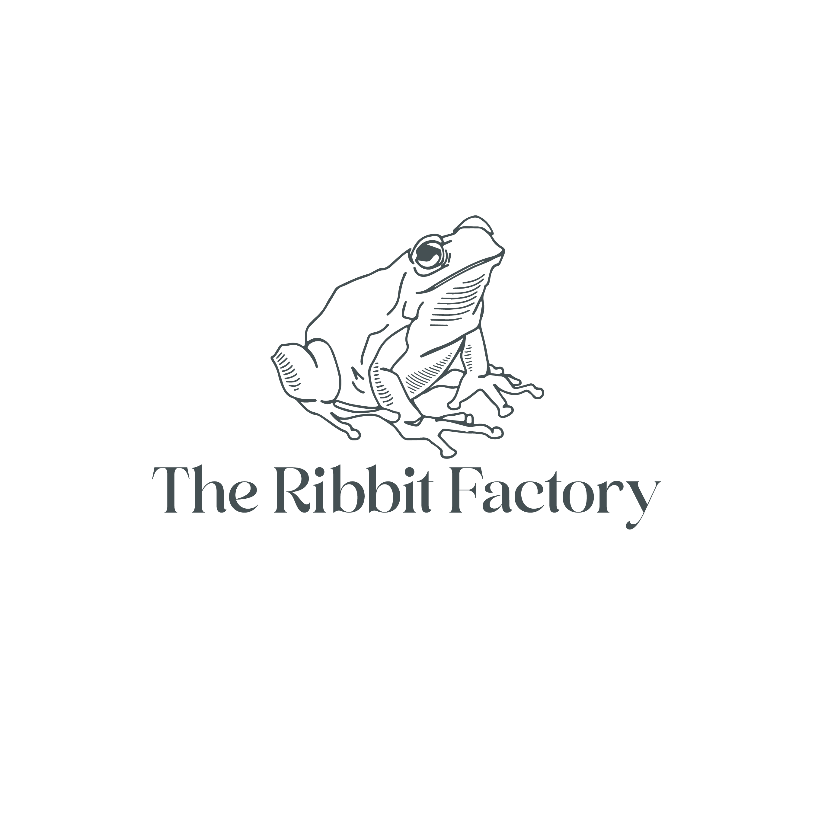 The Ribbit Factory | Substack