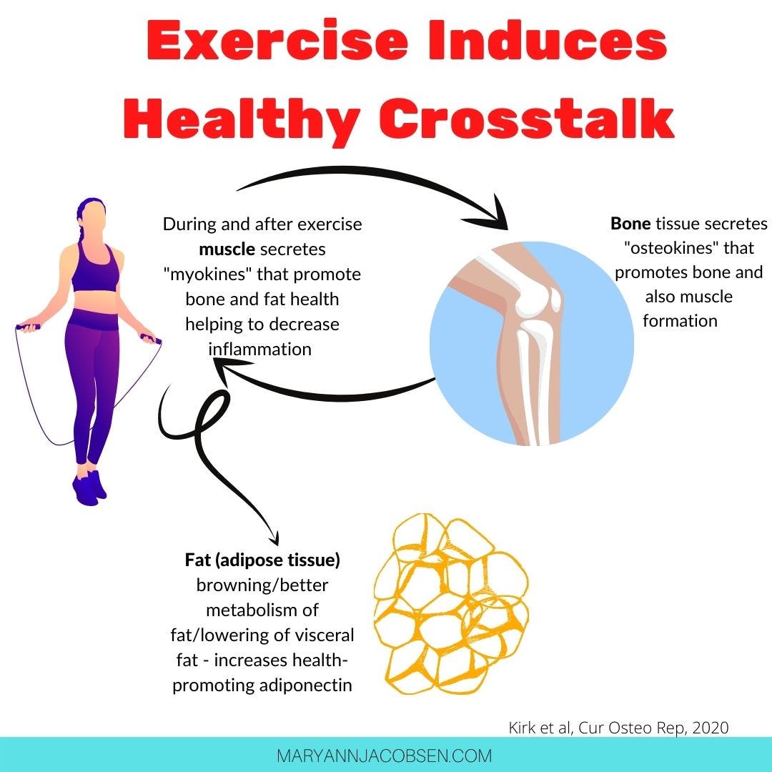 An in-depth guide on midlife weight gain: Everything you need to know