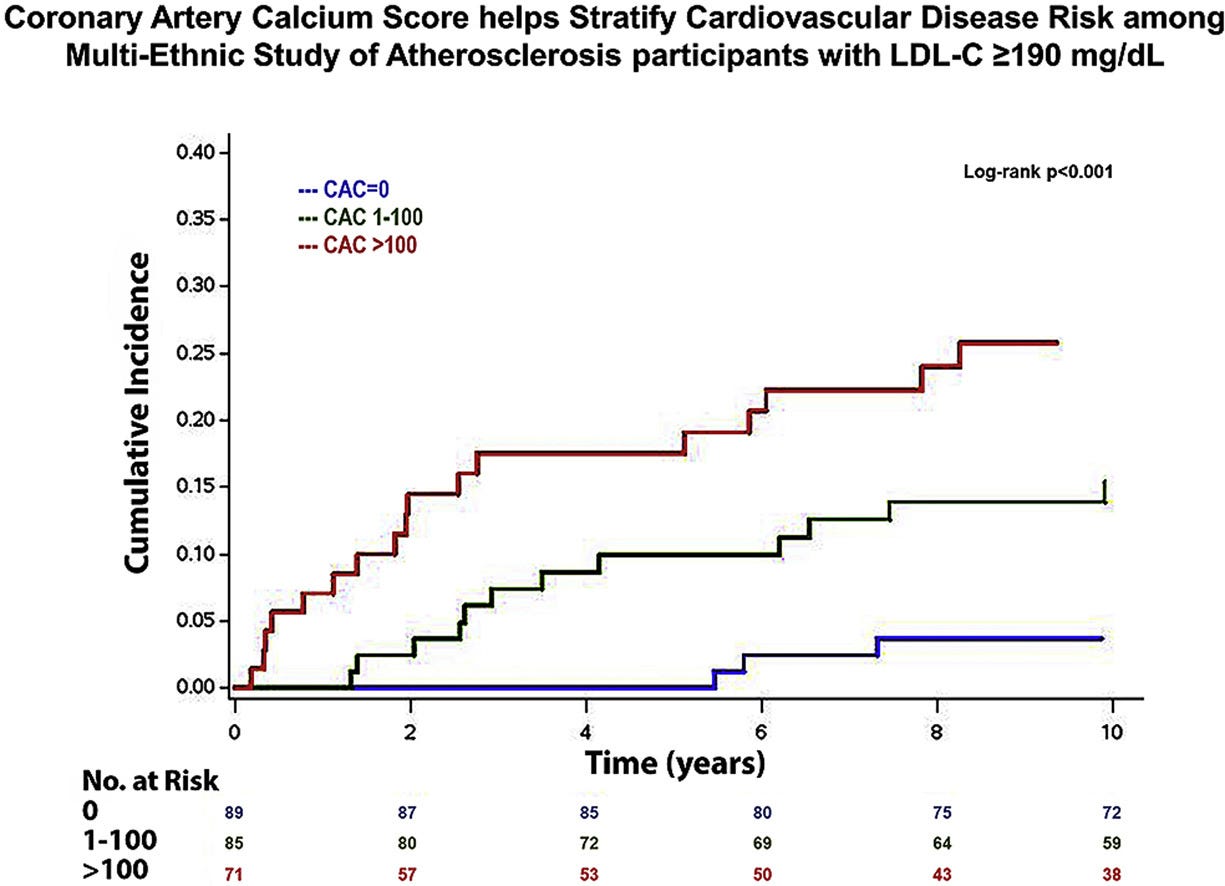 New Study Suggests Your Cholesterol May Not Be Too High After All.