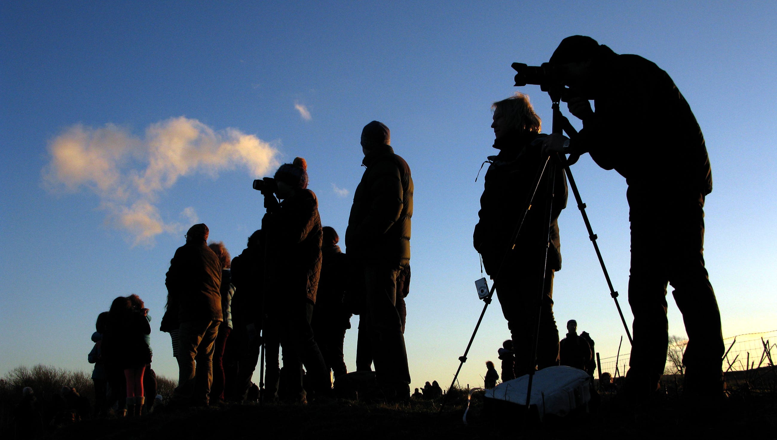 Murmuration Murmours - by David Bocking