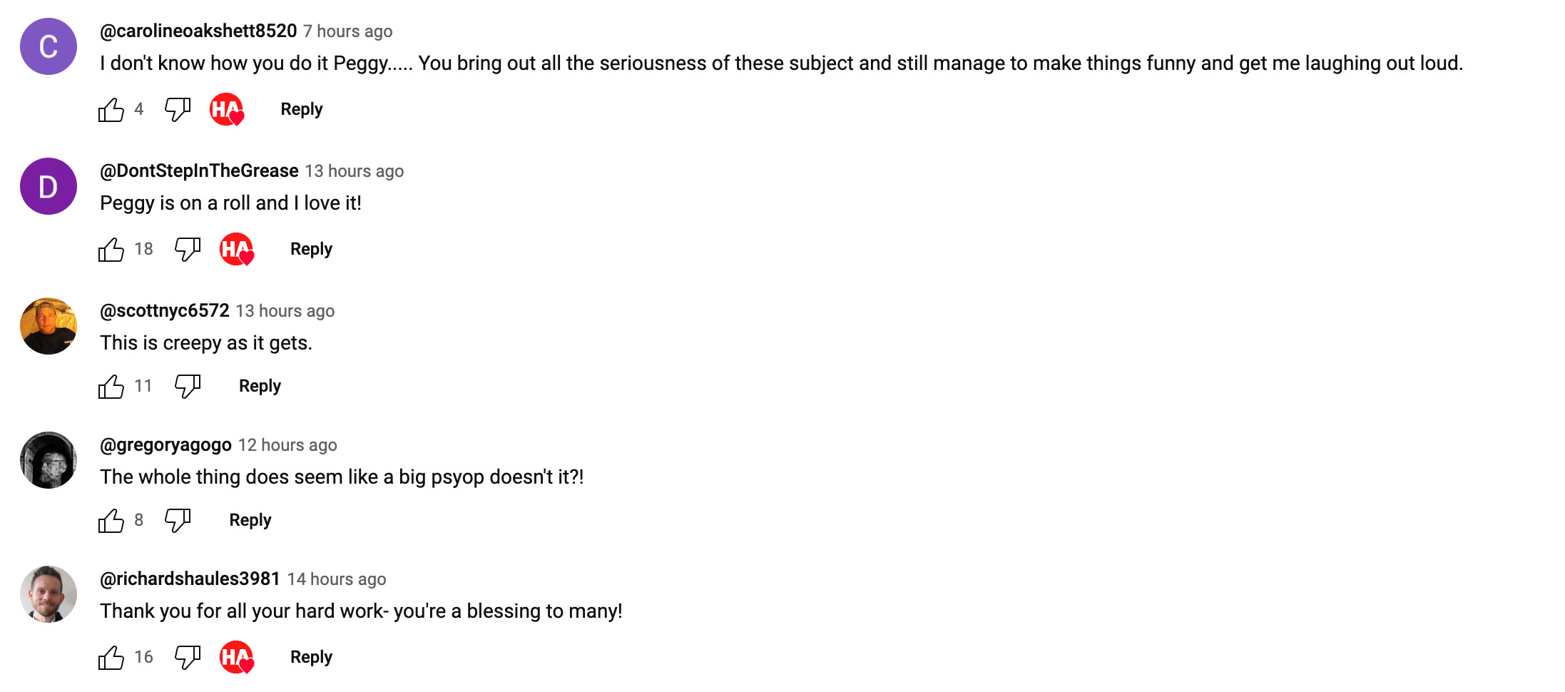 Does the DOGE "Team" Even Really Exist as We are Told??